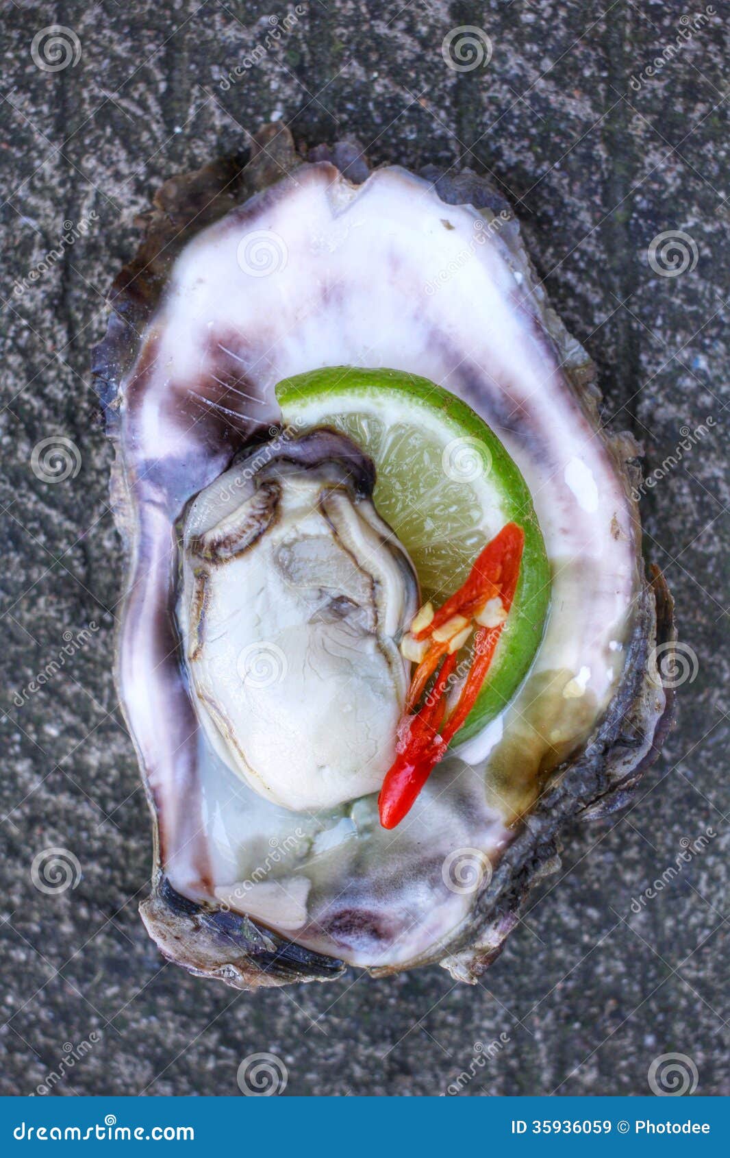 Fresh raw oysters stock image. Image of gourmet, delicious - 35936059