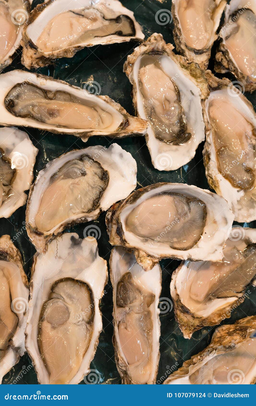 Fresh Raw Oysters at a Fish Market Stock Photo - Image of food, form ...
