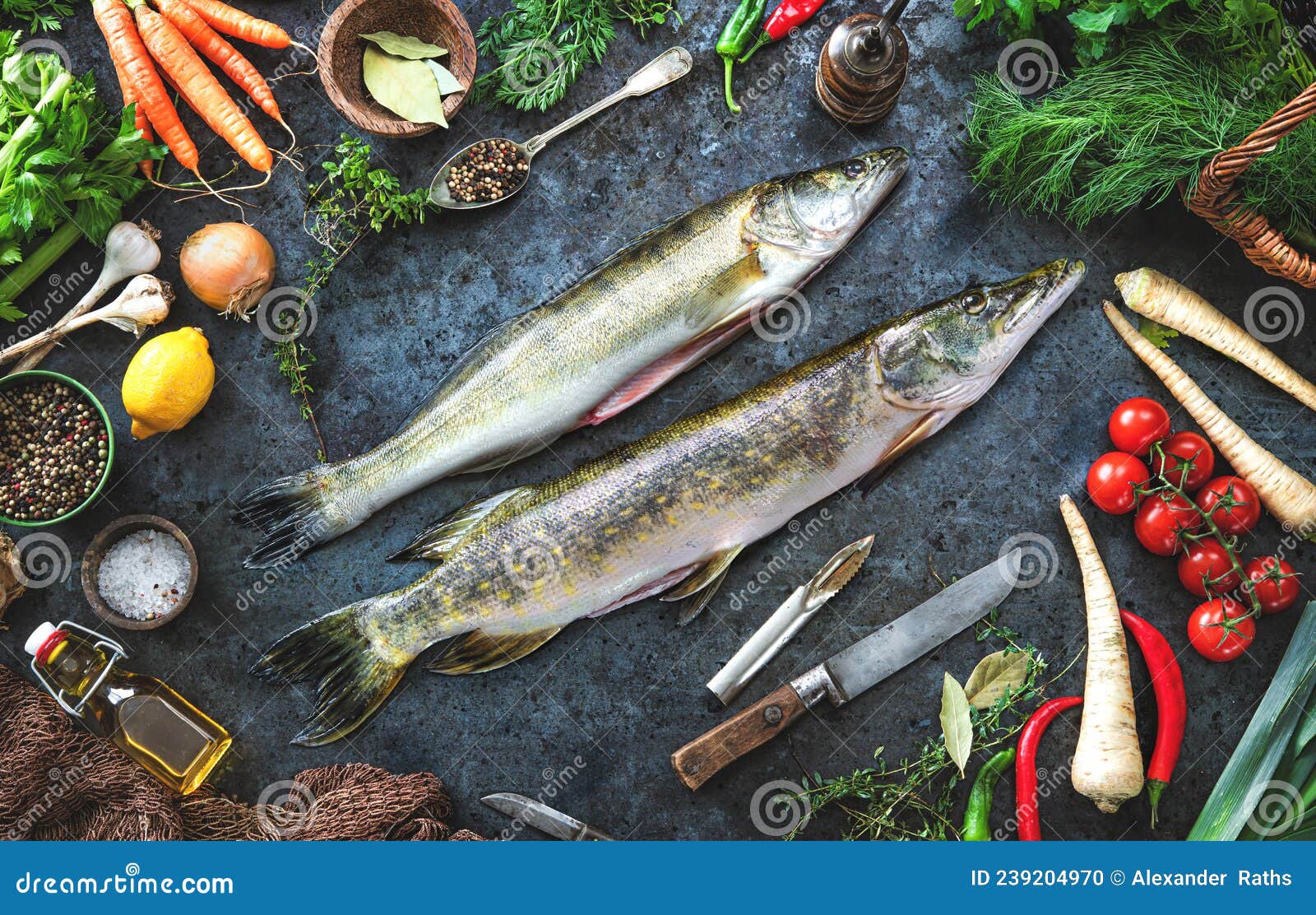 Fresh Raw Pike Perche or Zander and Pike Fish with Ingredients Prepared ...