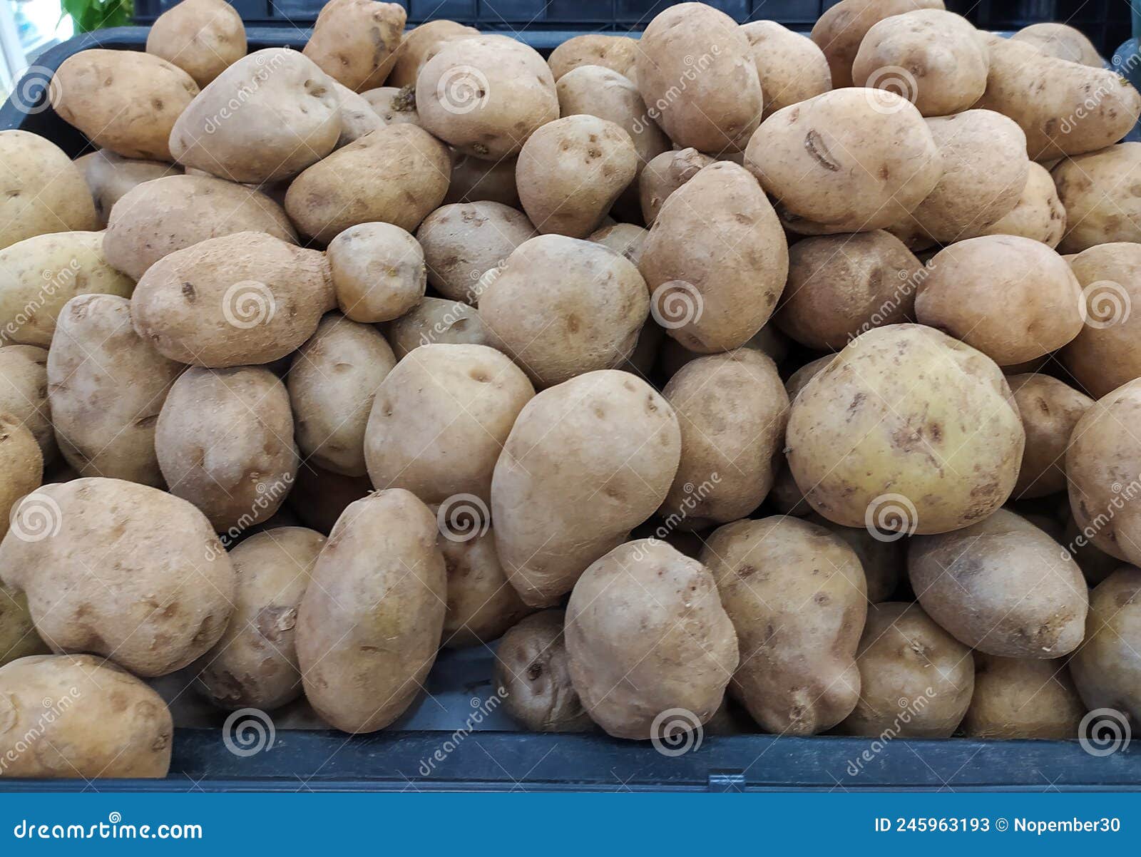 Fresh raw potato stock image. Image of bunch, harvest - 245963193