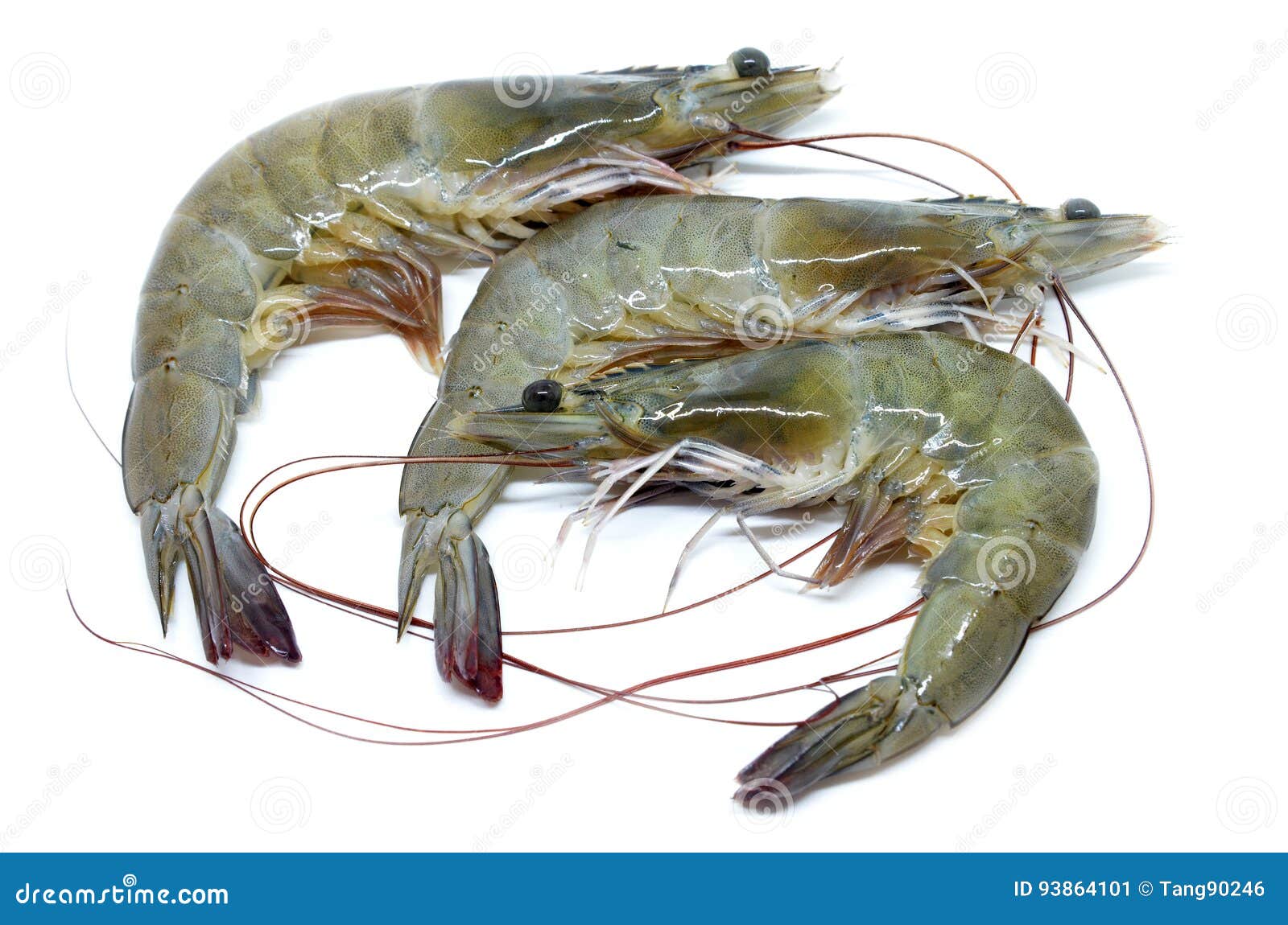 Fresh raw prawns stock image. Image of gourmet, whtie - 93864101