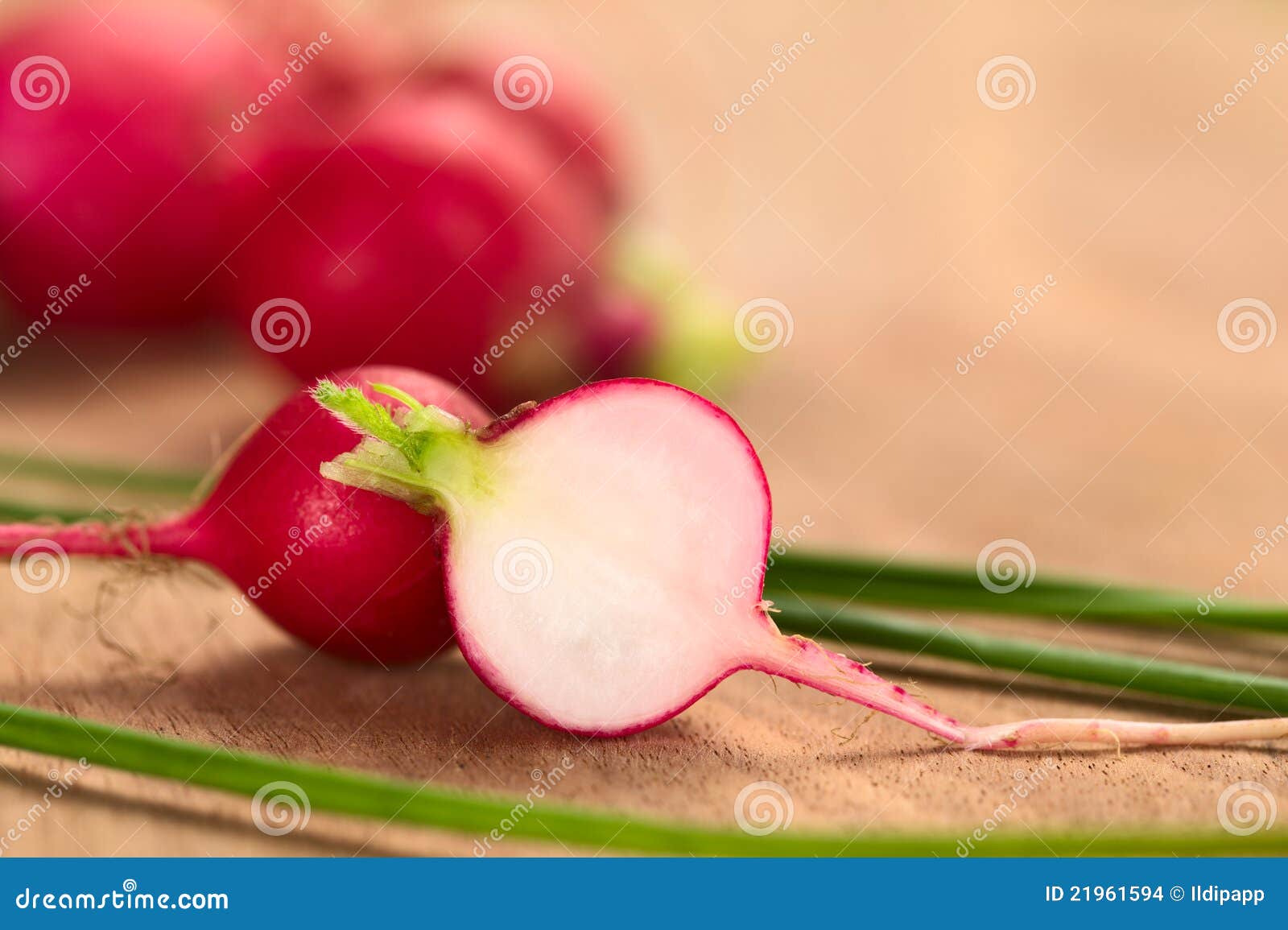 Fresh Raw Radish stock photo. Image of focus, photograph - 21961594