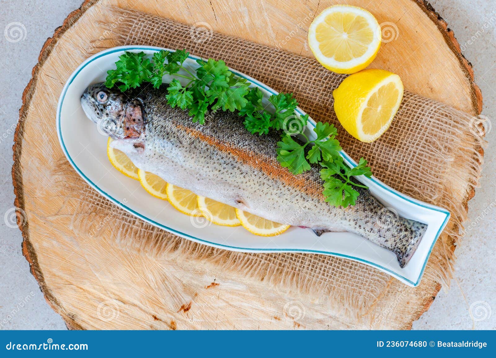 Fresh raw rainbow trout stock photo. Image of dinner - 236074680