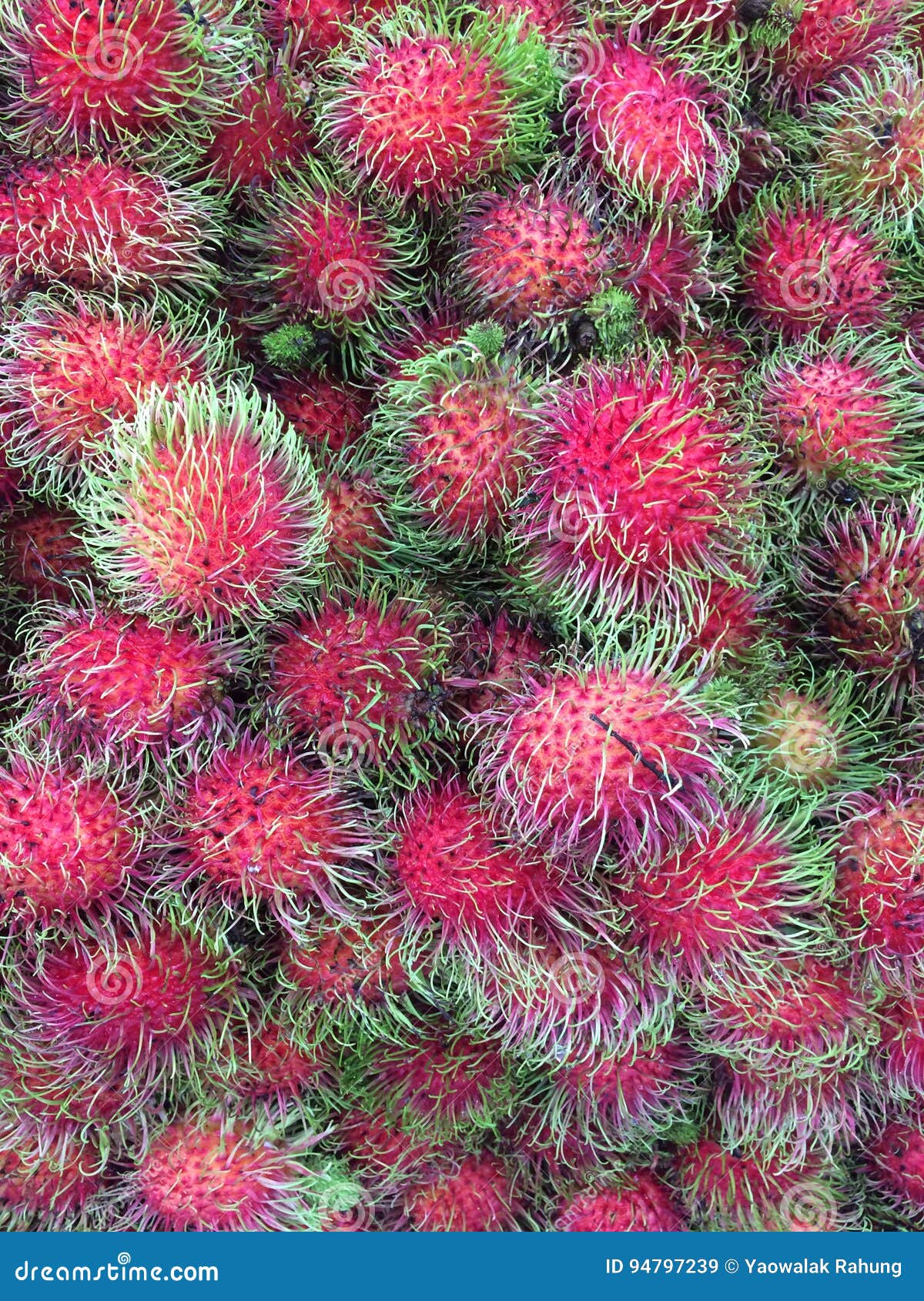 Fresh raw Rambutan fruit stock image. Image of semang - 94797239