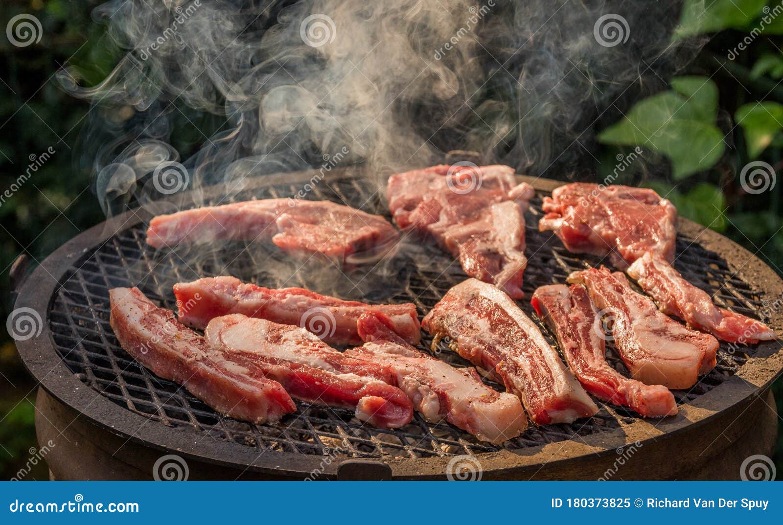 Red meat on a barbecue stock image. Image of format - 180373825