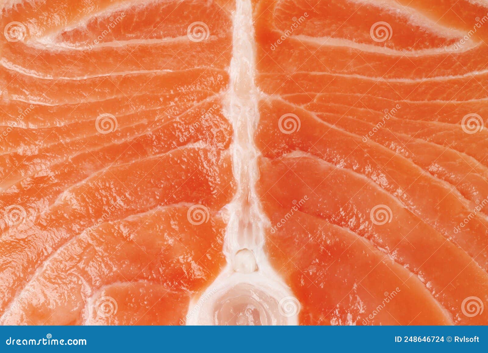 Fresh Raw Salmon Texture Background Stock Photo - Image of healthy ...
