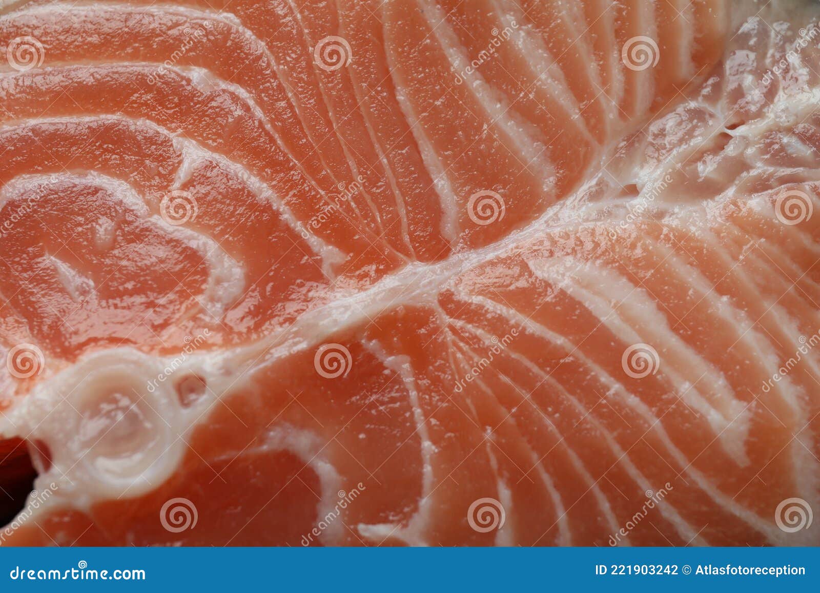 Fresh Raw Salmon Texture on Whole Background, Close Up Stock Photo ...
