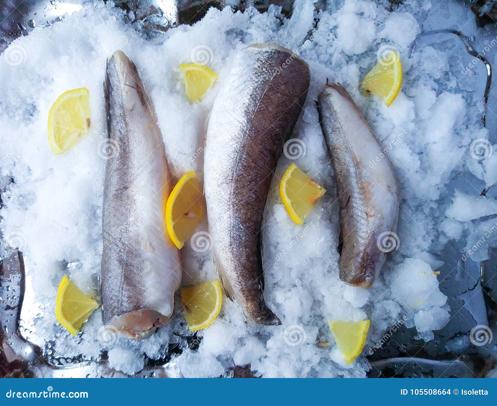 Fresh Raw Sea Fish and Lemon on Ice Surface. Stock Photo - Image of ... Fresh Raw Sea Fish and Lemon on Ice Surface. Stock Photo - Image of ...