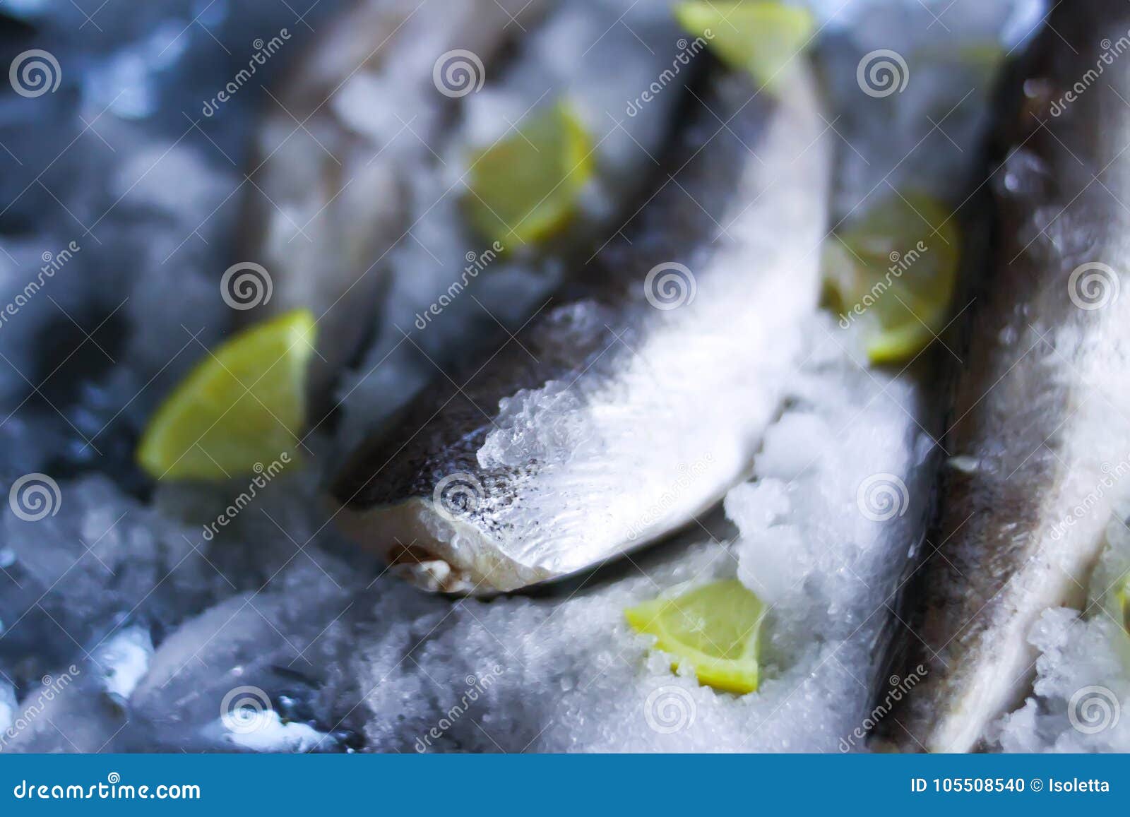 Fresh Raw Sea Fish and Lemon Slices on Ice Surface. Stock Photo - Image ... Fresh Raw Sea Fish and Lemon Slices on Ice Surface. Stock Photo - Image ...