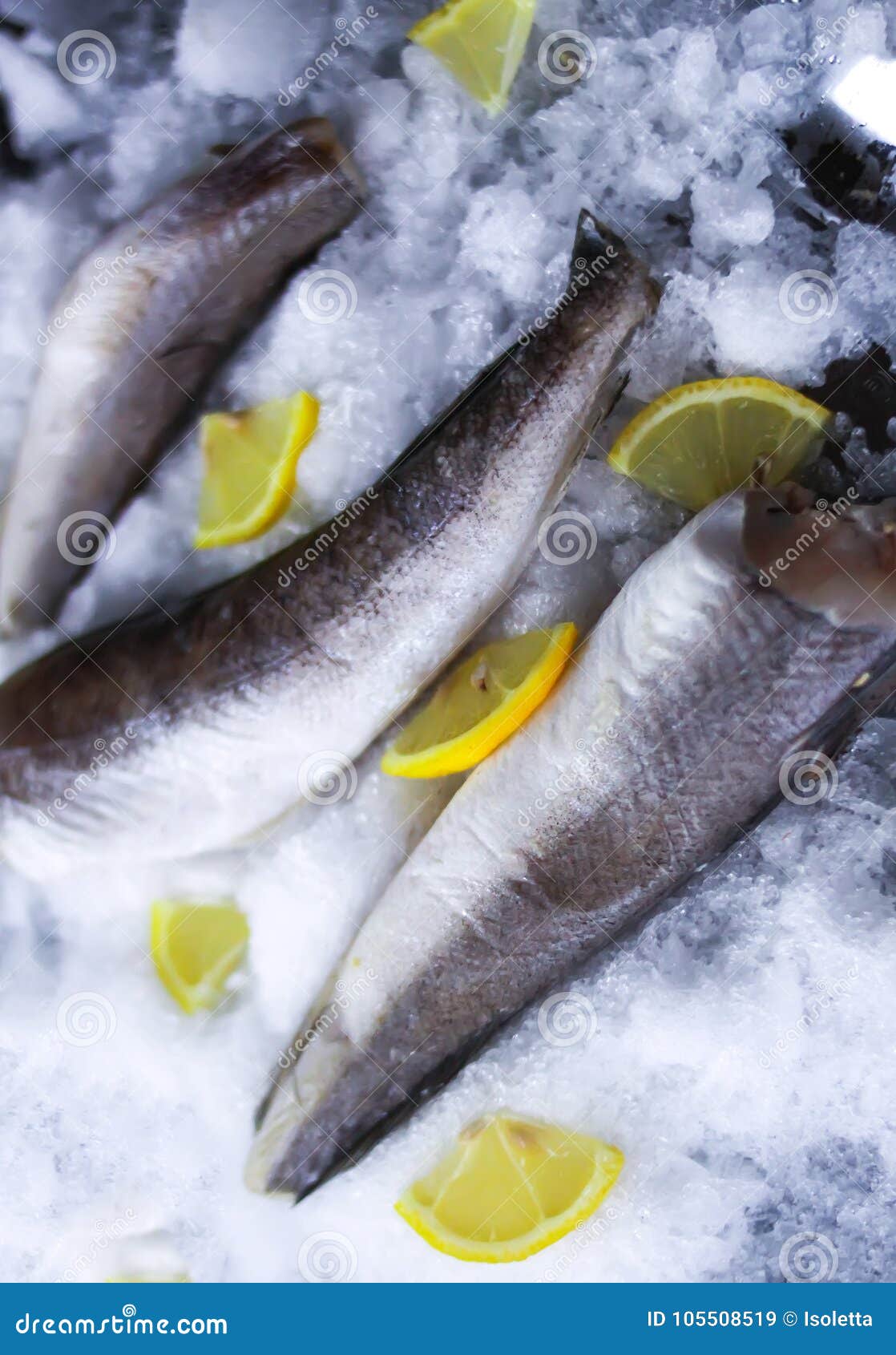 Fresh Raw Sea Fish and Lemon Slices on Ice Surface. Stock Image - Image ... Fresh Raw Sea Fish and Lemon Slices on Ice Surface. Stock Image - Image ...