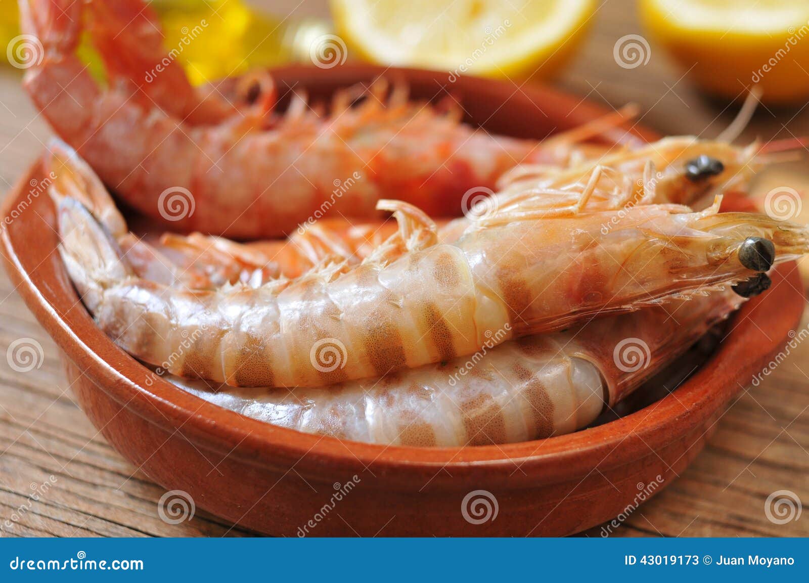 Pandalus Borealis Or Coldwater Shrimp Or Pink Shrimp Or Deepwater ...