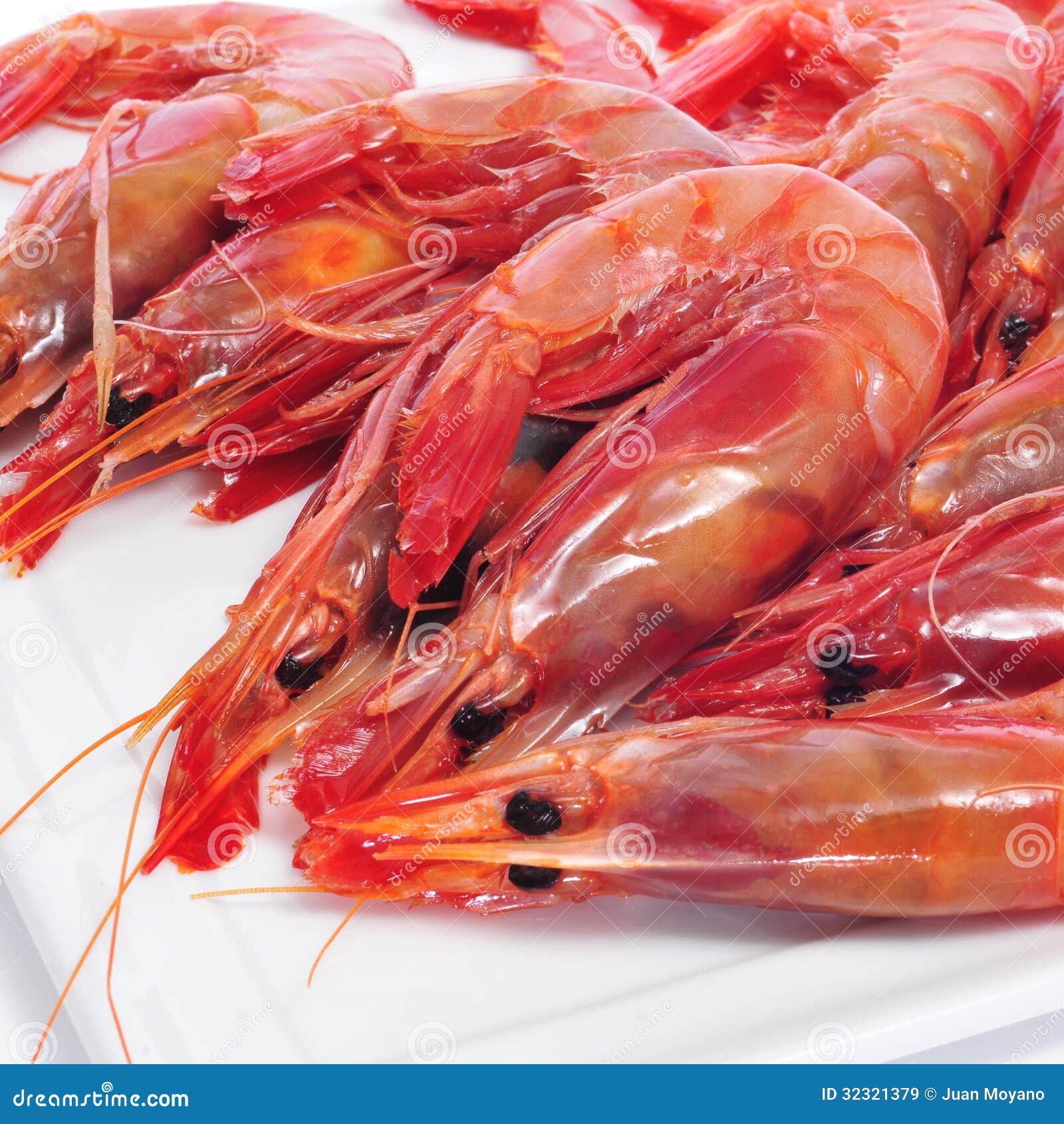 Pandalus Borealis Or Coldwater Shrimp Or Pink Shrimp Or Deepwater ...