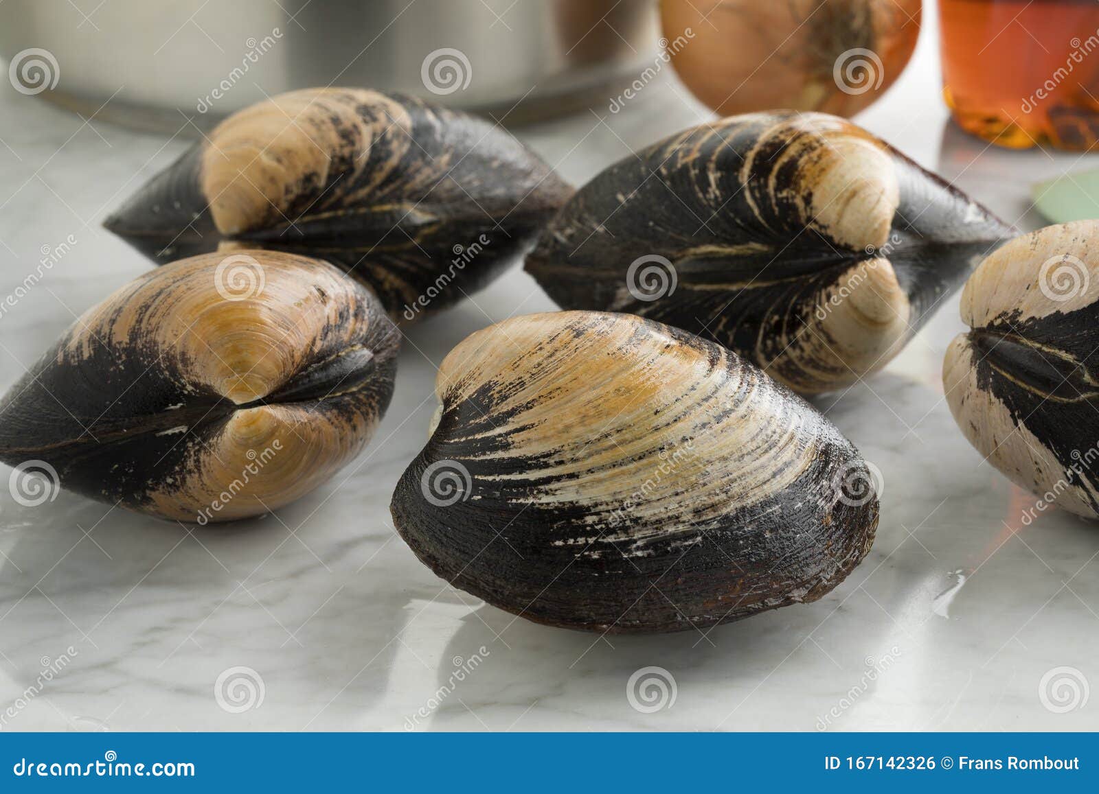 Fresh Raw Spisula Solida, Surf Clams Stock Photo - Image of shellfish ...