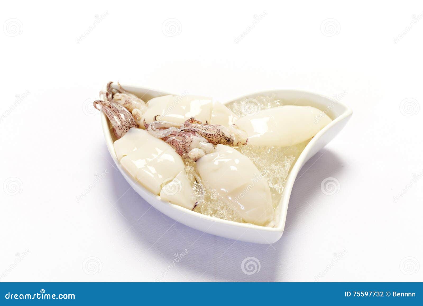 Fresh raw squids stock photo. Image of delicious, nature - 75597732