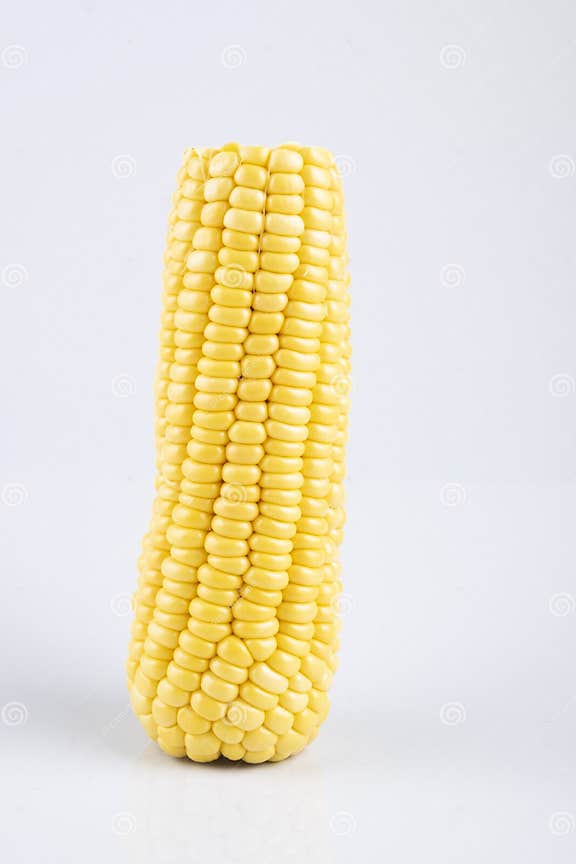 Fresh Raw Sweet Corn on the Cob Kernels Over White Background Stock ...