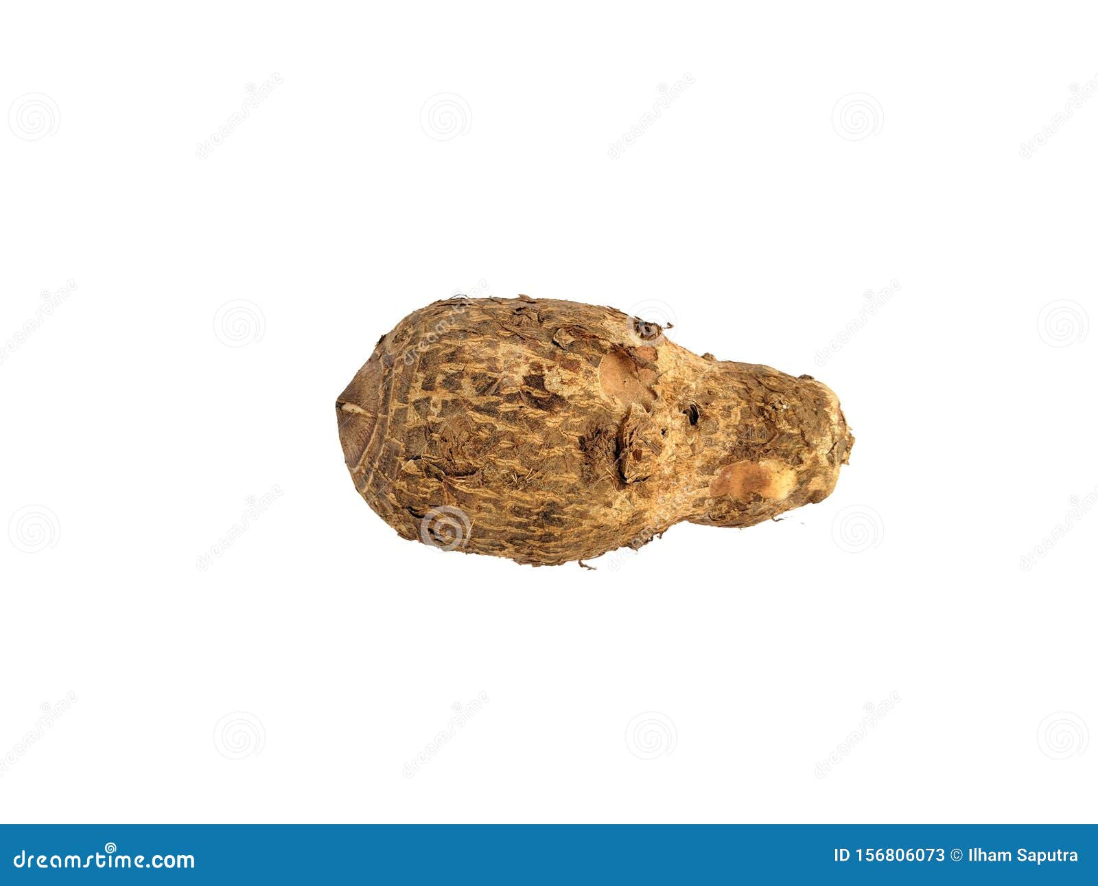 Fresh Raw Taro Isolated on White Background Stock Image - Image of ...