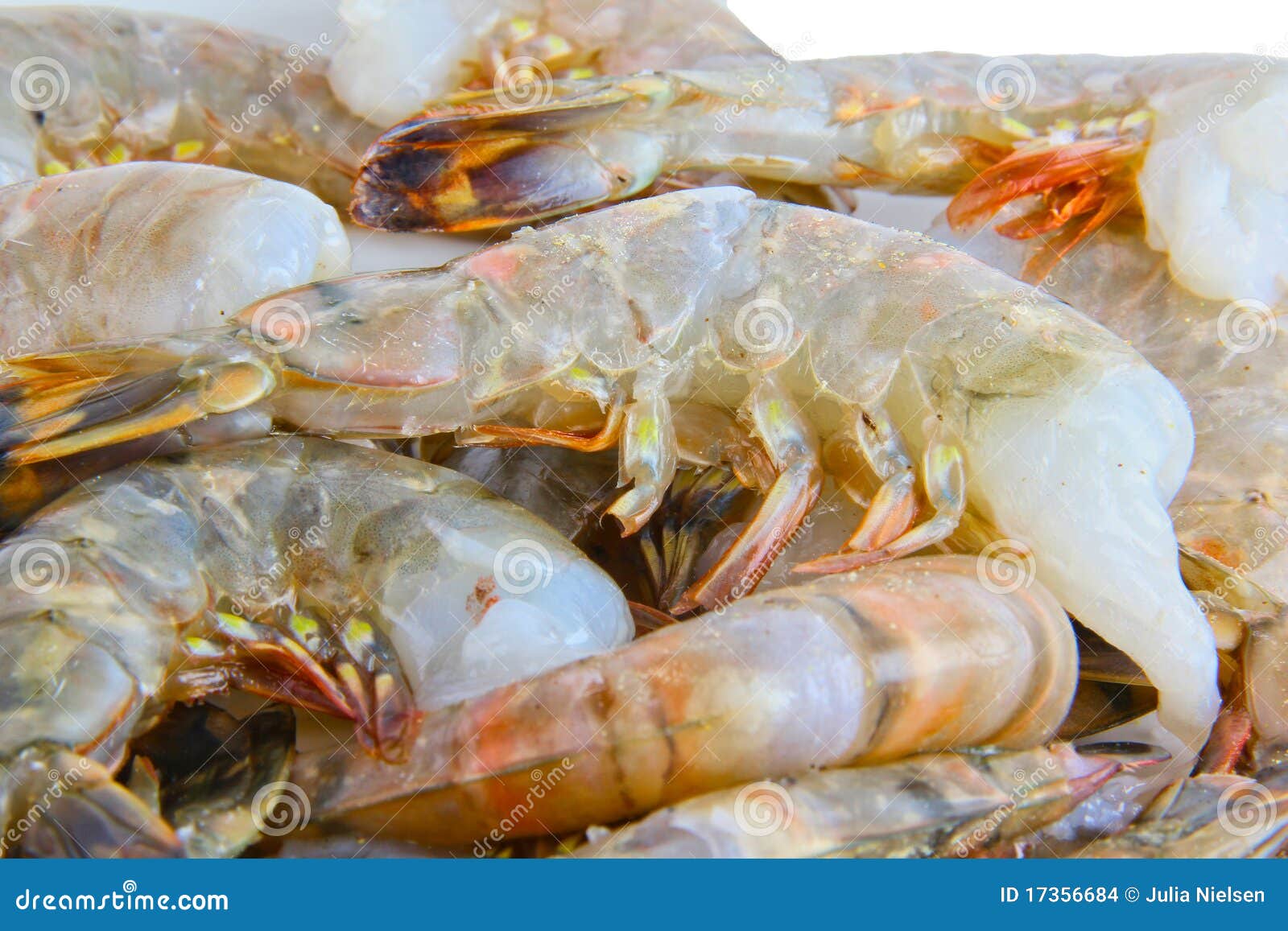 Fresh raw tiger prawns stock photo. Image of healthy - 17356684