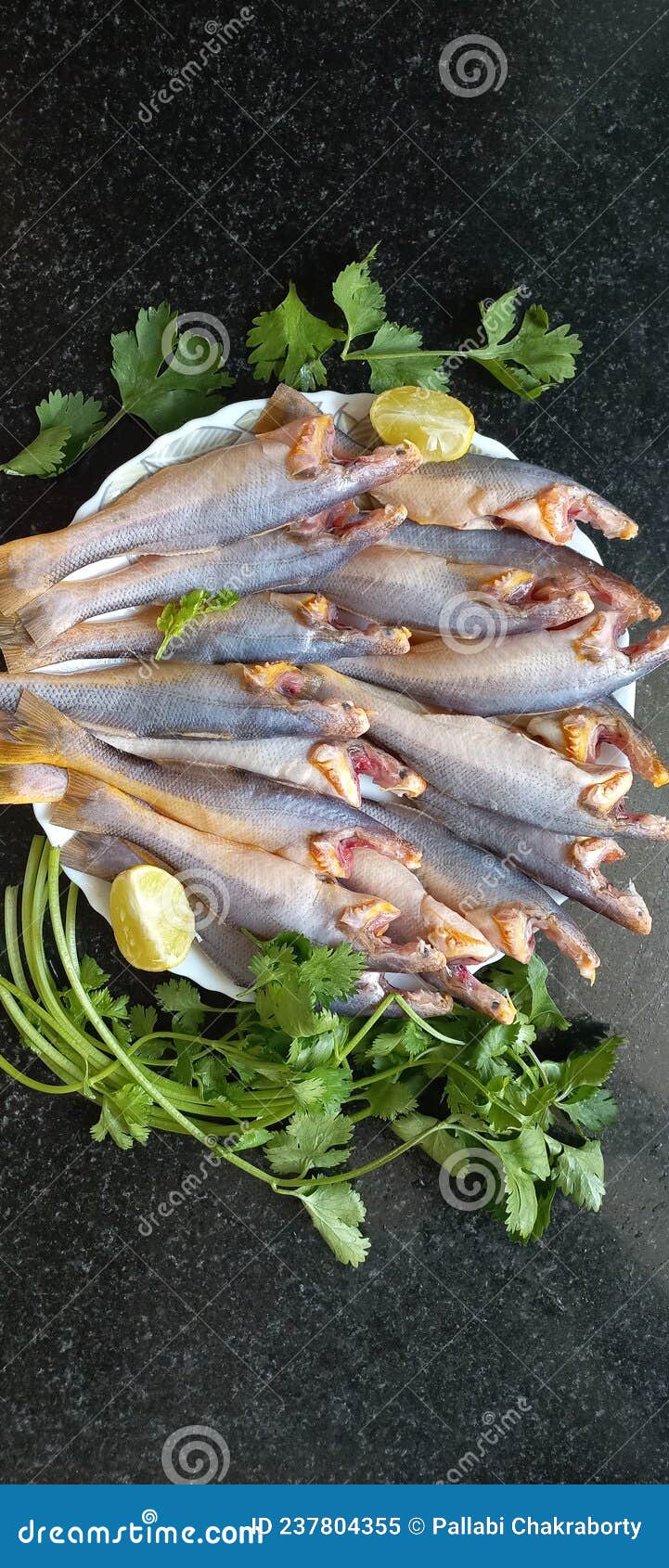 Topshe Fish Stock Photos - Free & Royalty-Free Stock Photos from Dreamstime