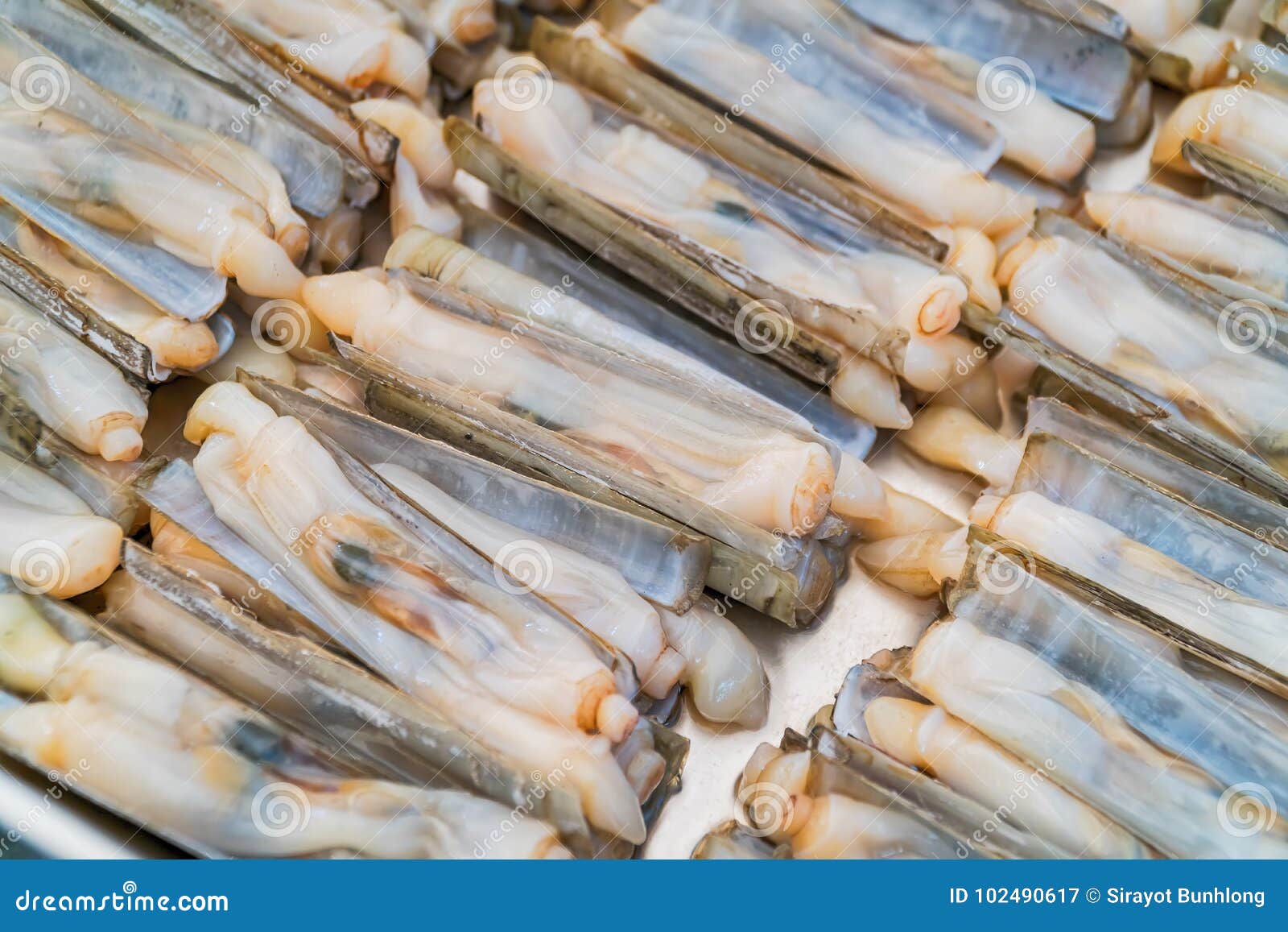 Fresh Razor Shell on Ice at the Seafood Booth Stock Image - Image of ...