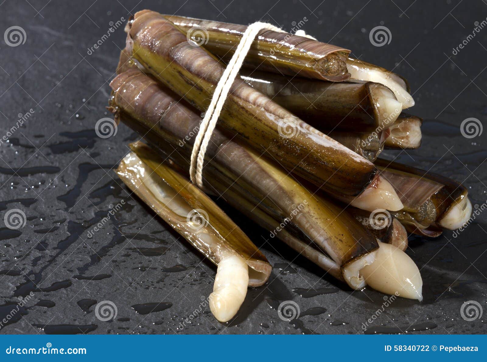 Fresh razor shells stock photo. Image of razor, fresh - 58340722