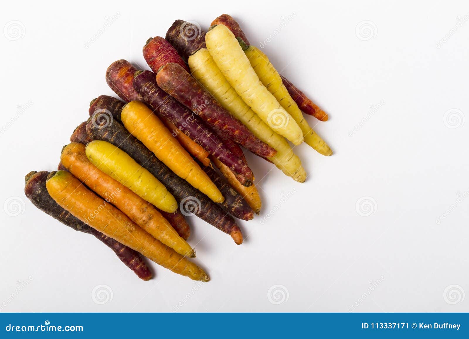 Fresh Multi-colored Carrots Stock Image - Image of white, colors: 113337171