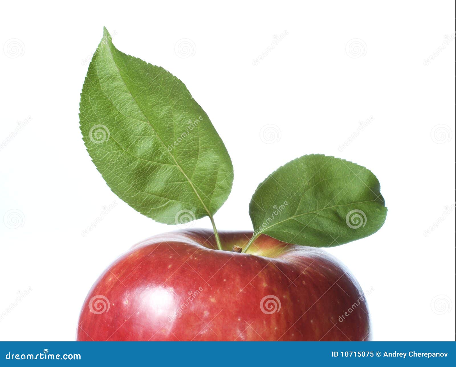 Fresh red apple stock image. Image of freshness, healthy - 10715075