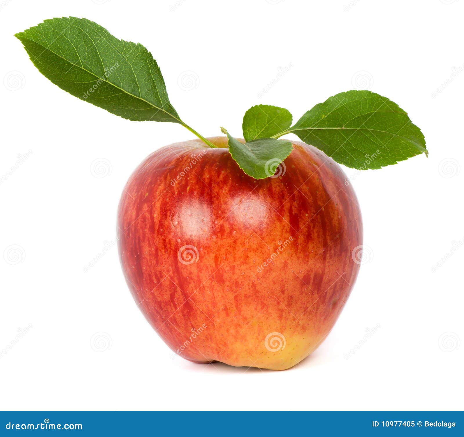 Fresh red apple stock image. Image of apple, thirst, fresh - 10977405