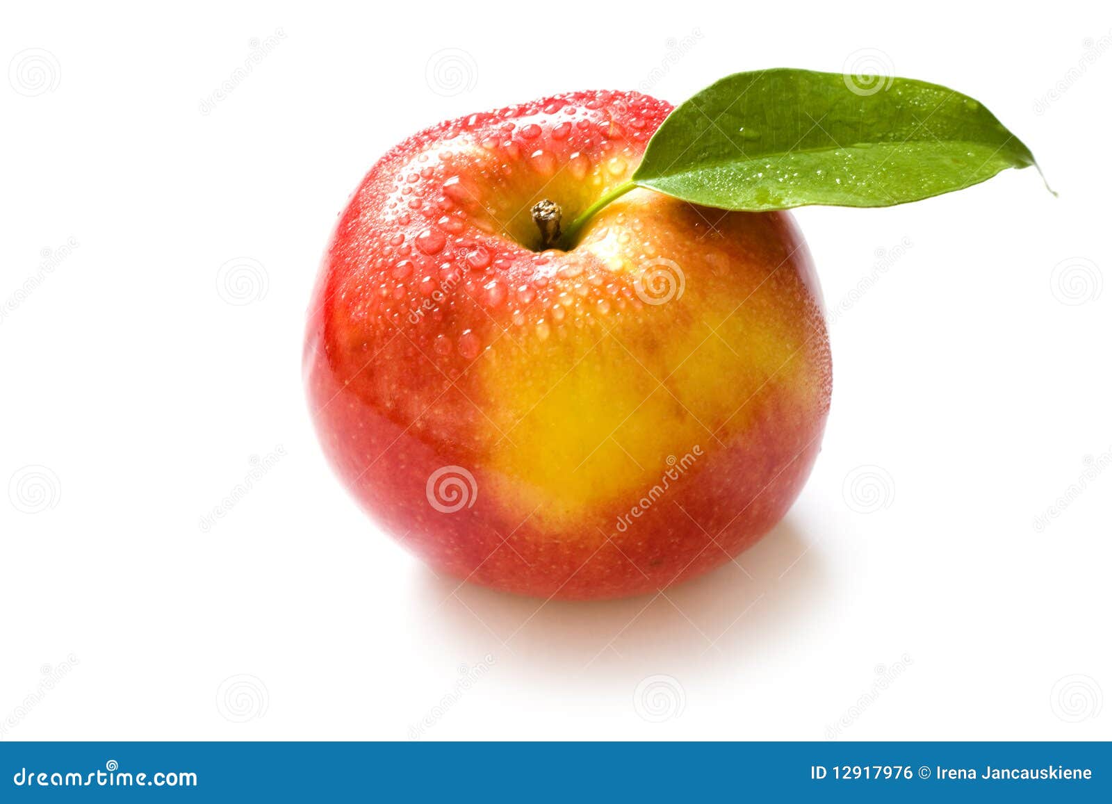 Fresh red apple stock photo. Image of isolated, garden - 12917976