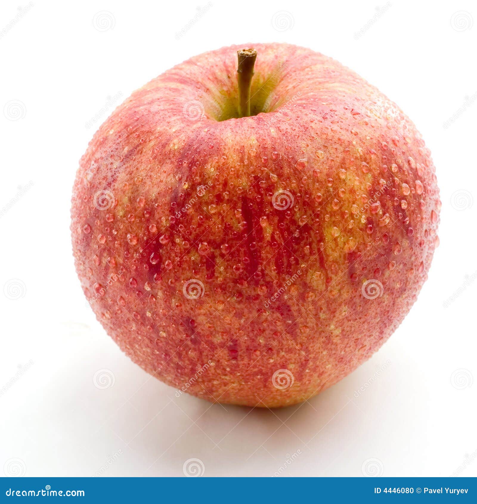 A fresh red apple stock photo. Image of juicy, leaf, closeup - 4446080
