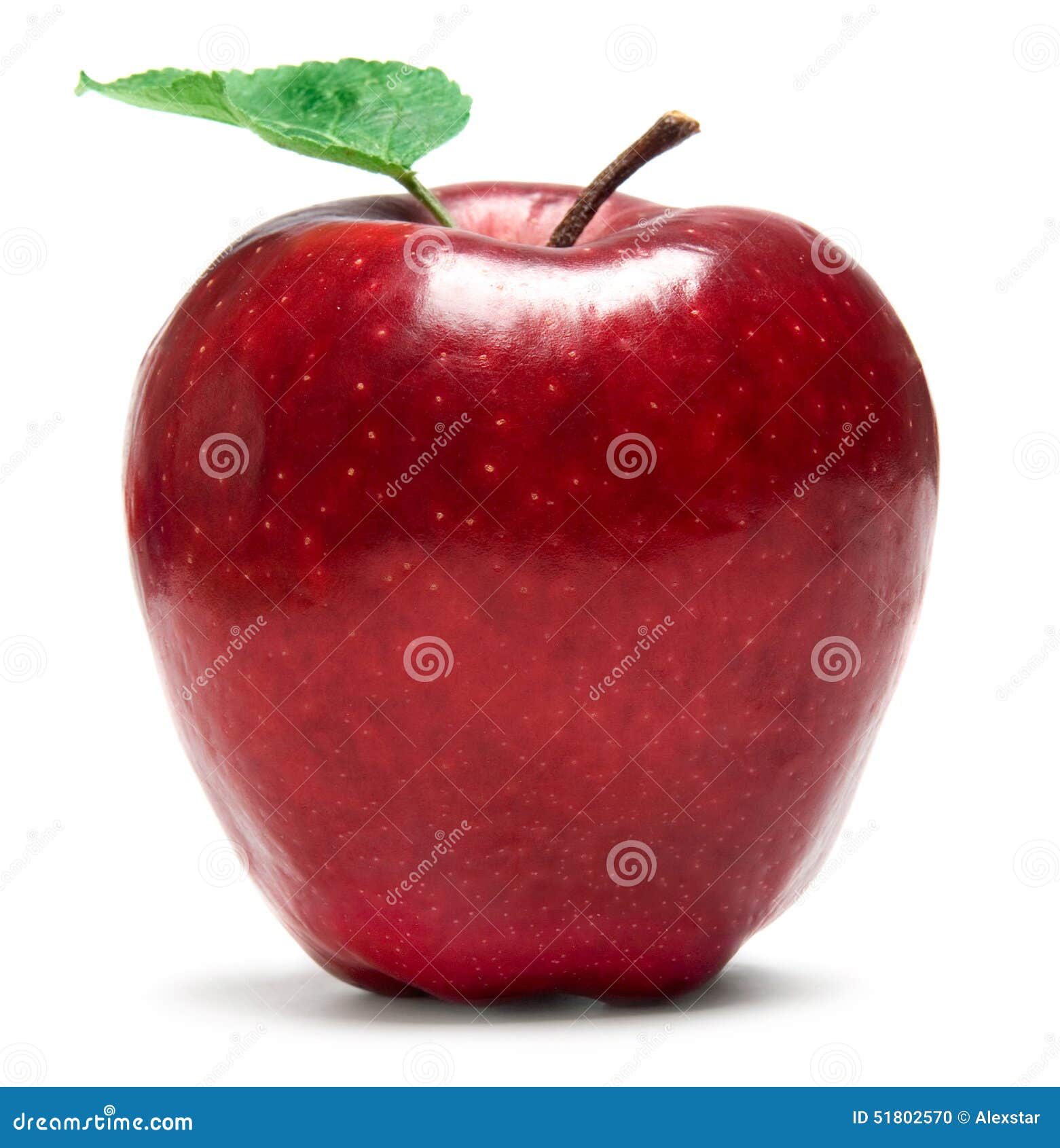Fresh red apple stock photo. Image of health, single - 51802570