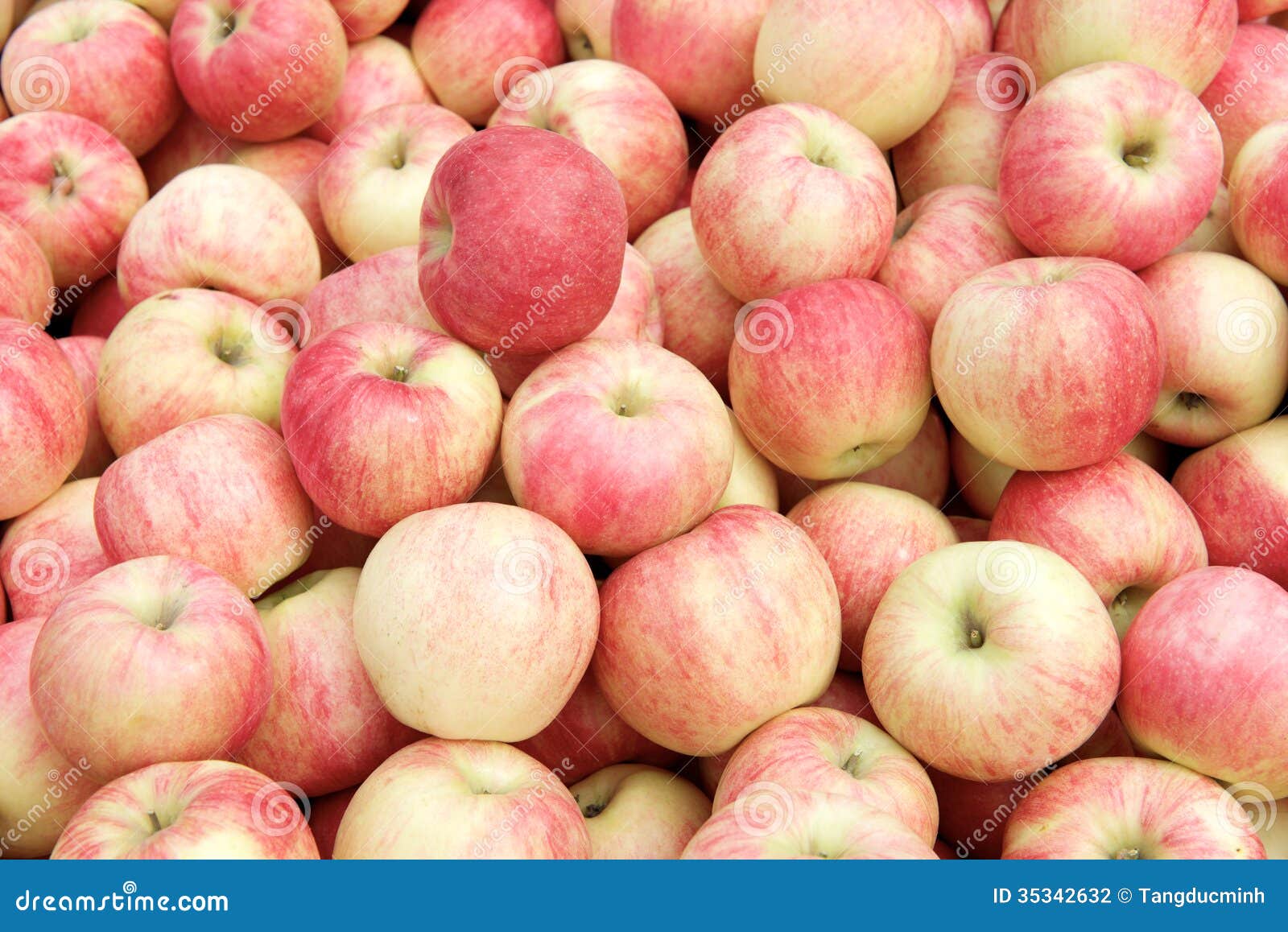 Fresh Red Apples in the Box Stock Photo - Image of vitamins, delicious ...