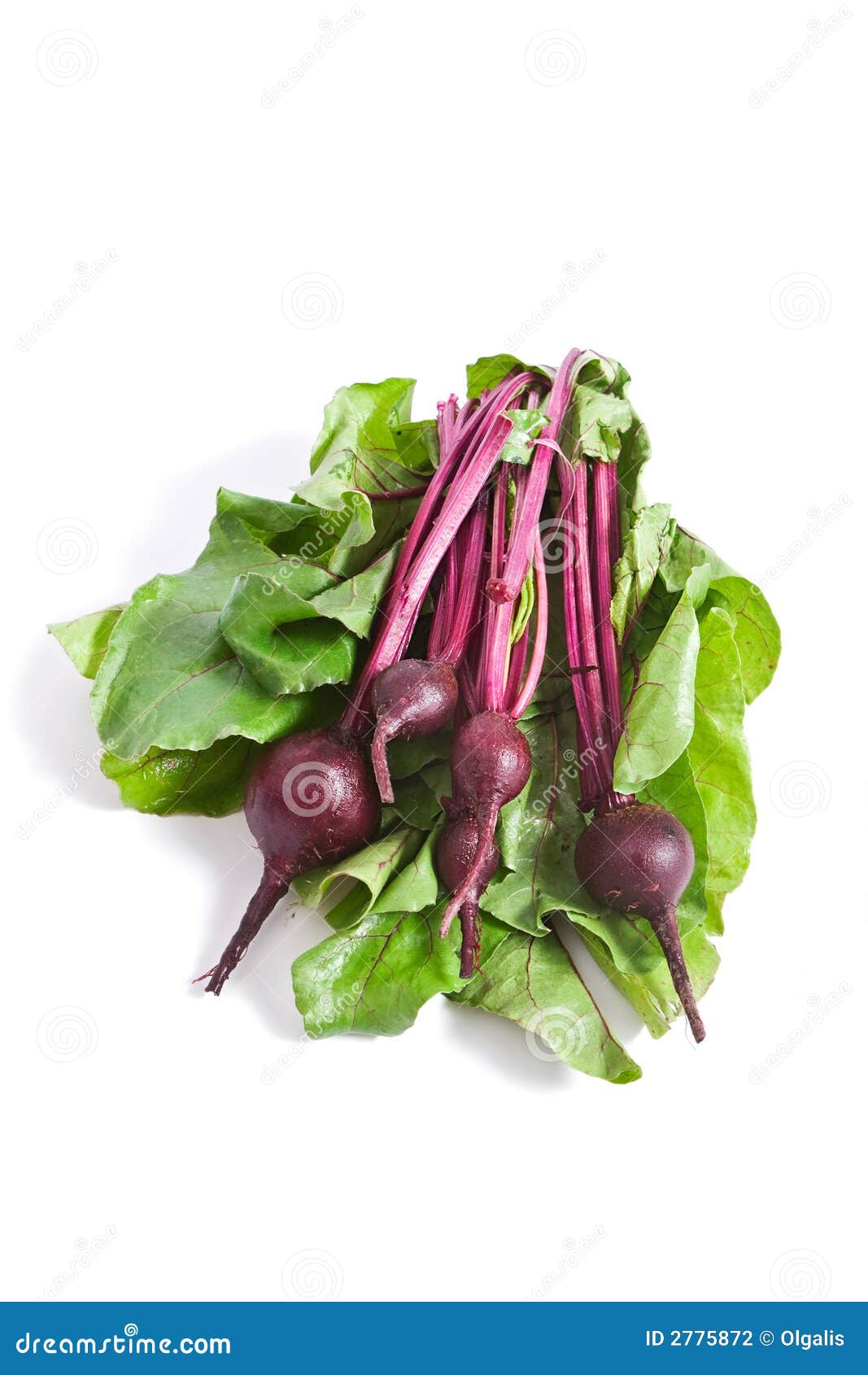Fresh red beetroot stock photo. Image of healthy, pattern - 2775872