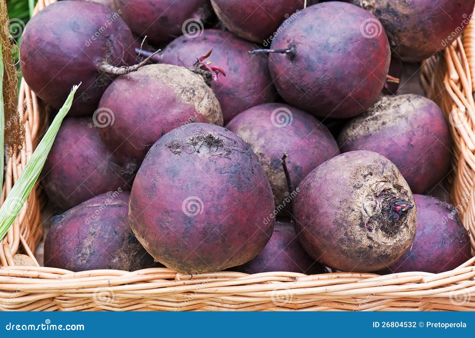 Fresh red beets stock photo. Image of leaf, purple, diet - 26804532