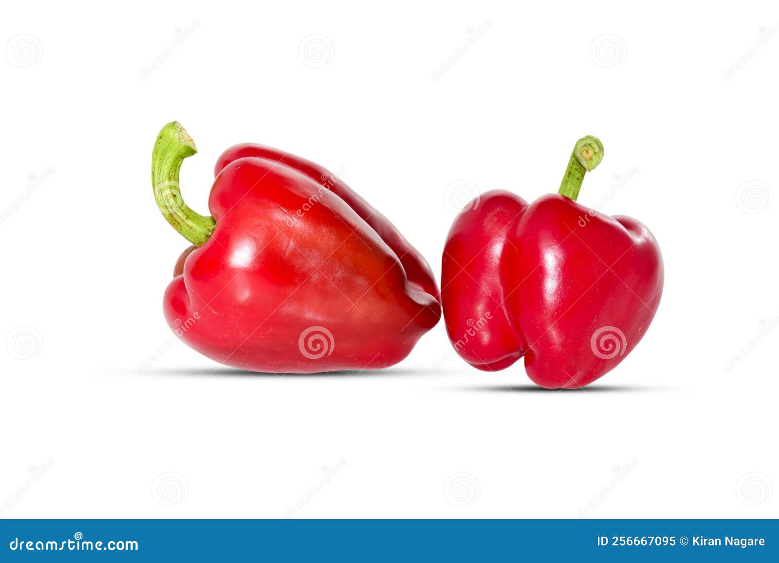 Fresh Red Bell Pepper ( Capsicum ) Stock Image - Image of paprika ...
