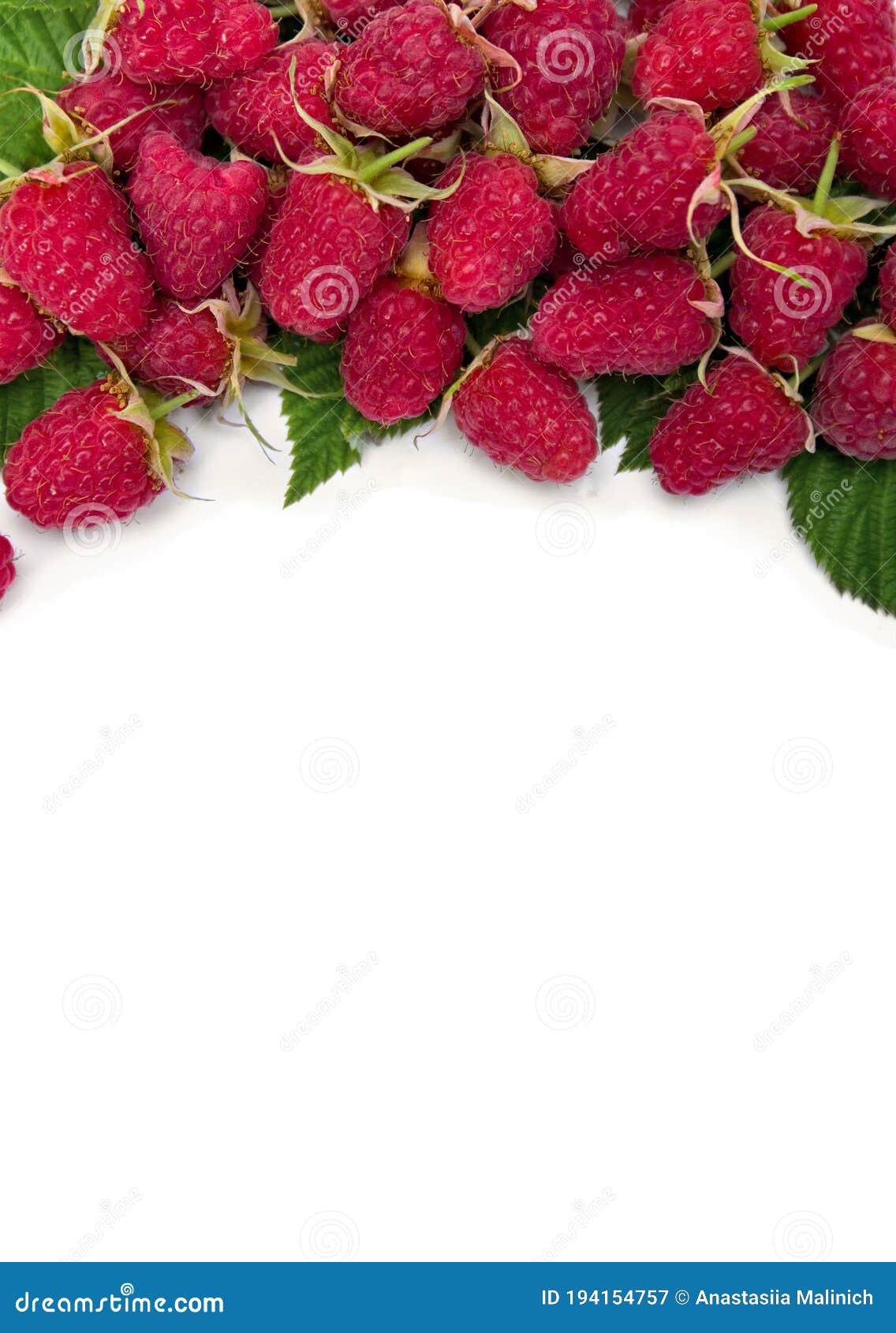 Fresh Red Berries Raspberries with Green Leaves on White Background ...