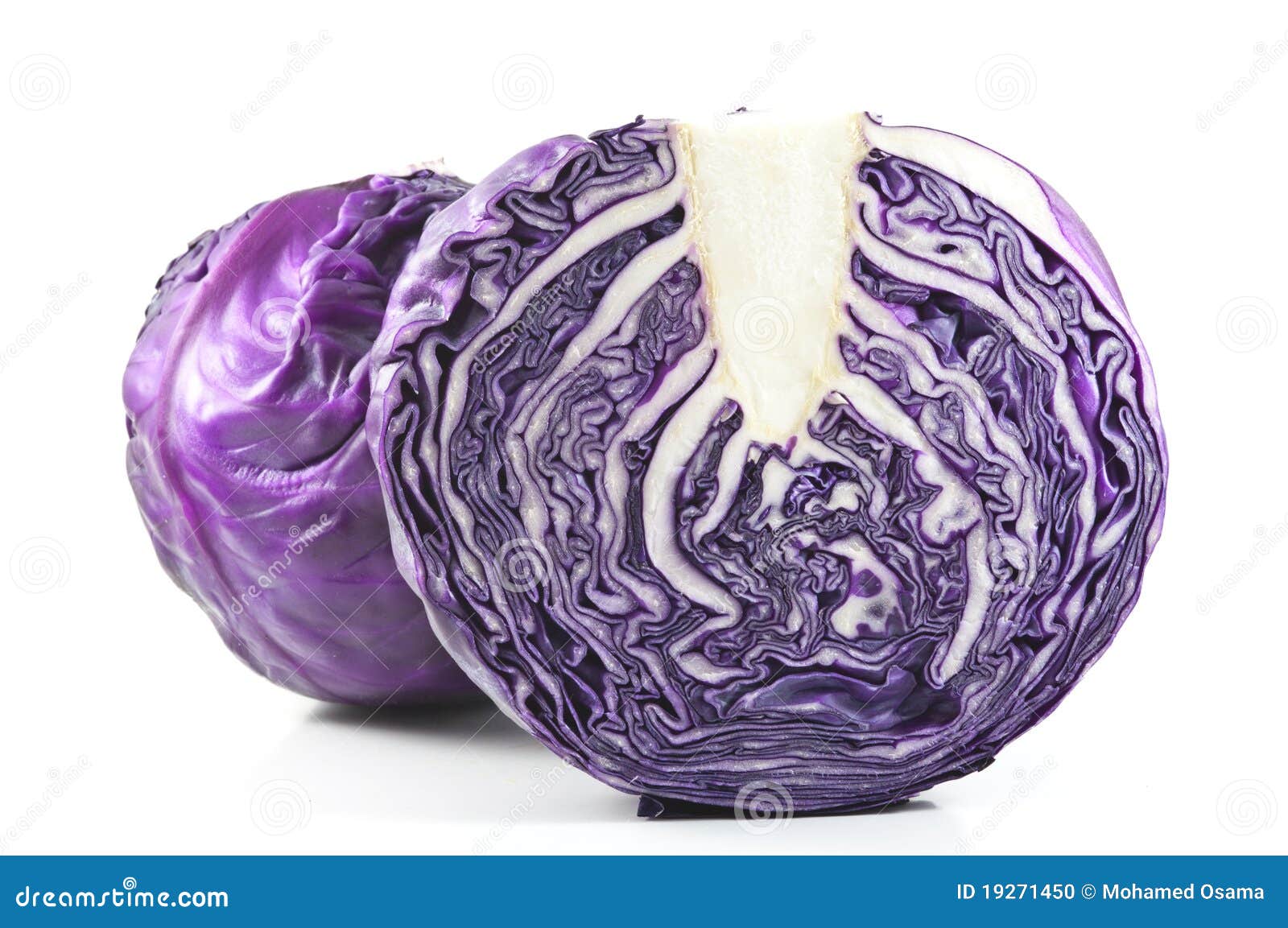 Fresh Red Cabbage stock photo. Image of close, green - 19271450