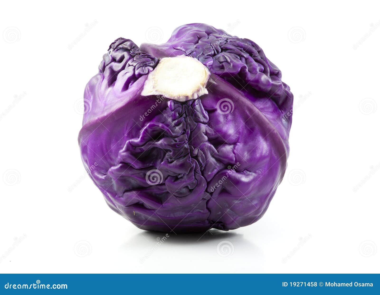 Fresh Red Cabbage Isolated stock photo. Image of horizontal - 19271458