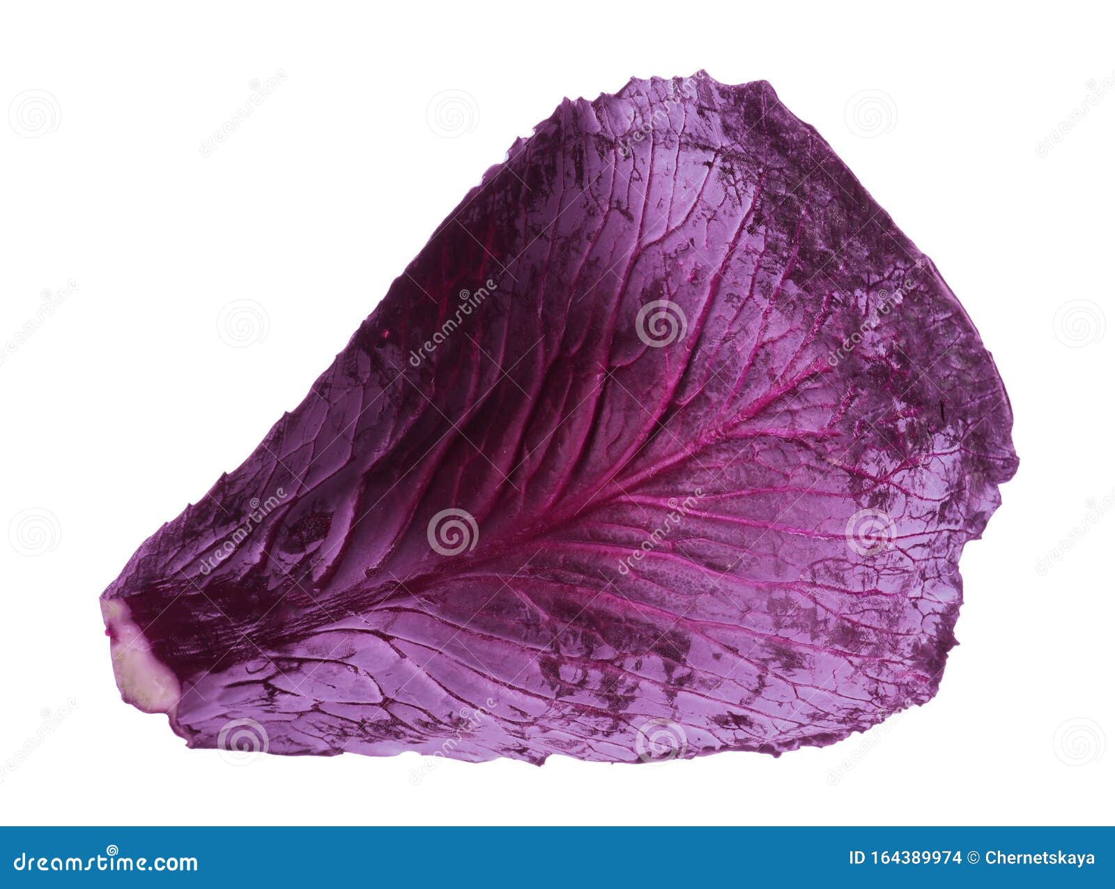 Fresh Red Cabbage Leaf Isolated on White Stock Photo - Image of leaf ...