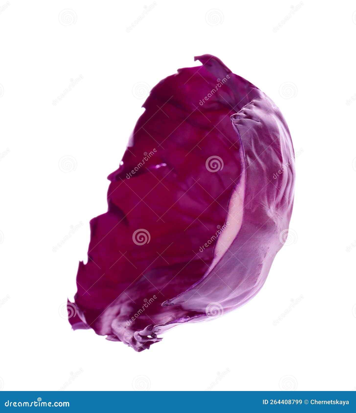 Fresh Red Cabbage Leaf Isolated on White Stock Image - Image of radicchio, harvest: 264408799