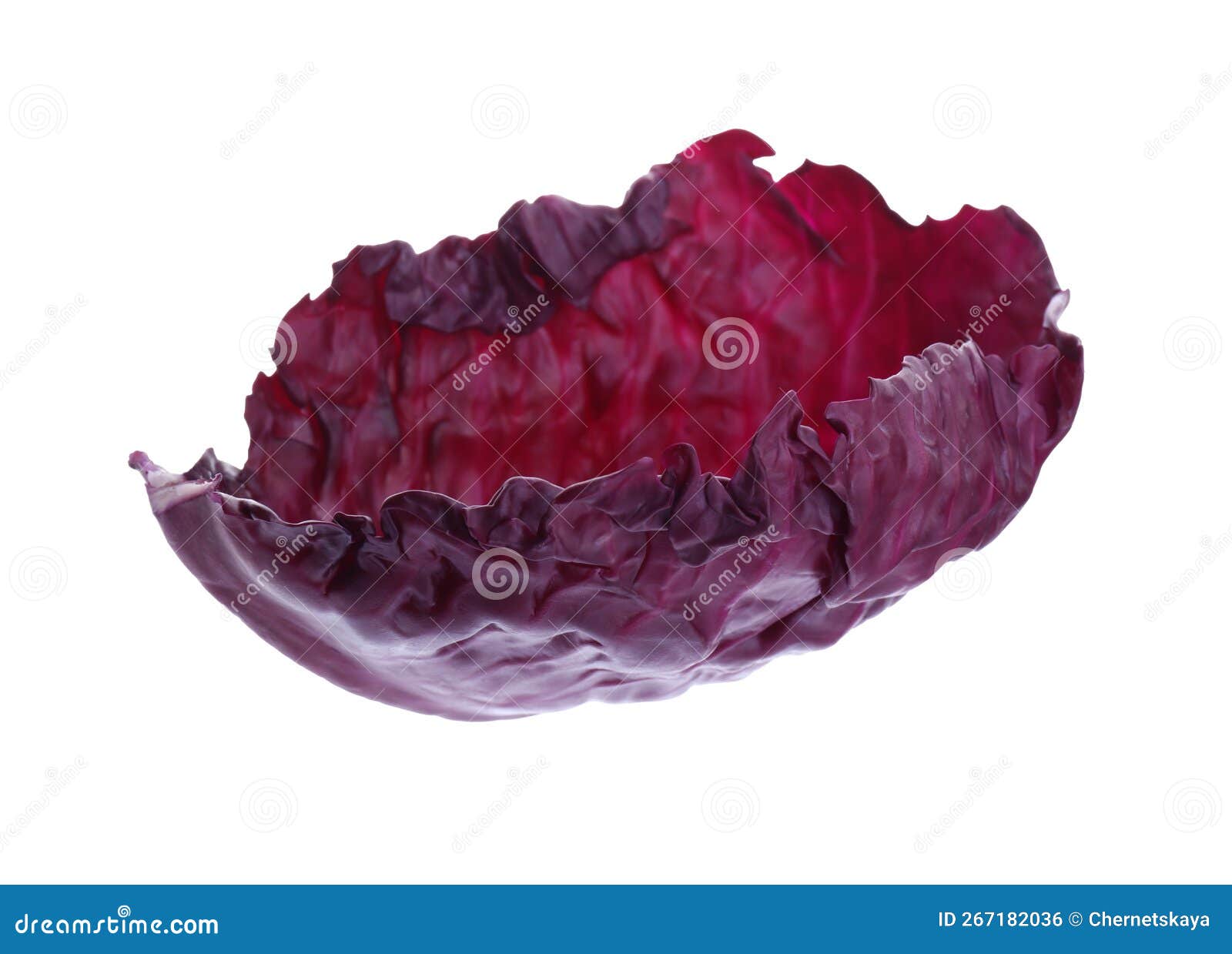 Fresh Red Cabbage Leaf Isolated on White Stock Photo - Image of natural ...
