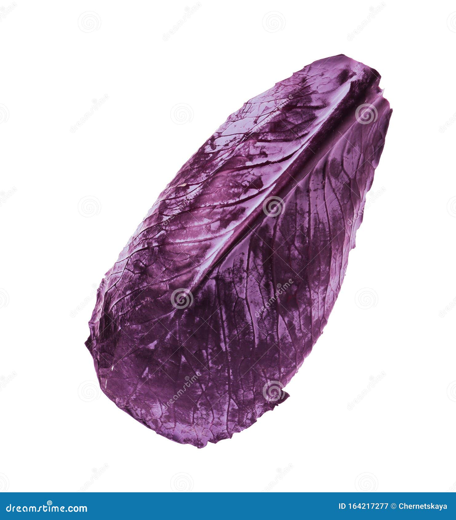 Fresh Red Cabbage Leaf Isolated on White Stock Image - Image of bright ...