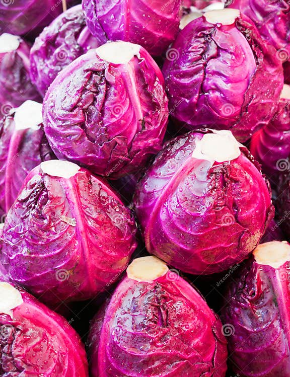 Fresh red cabbage stack stock image. Image of nature - 26966279