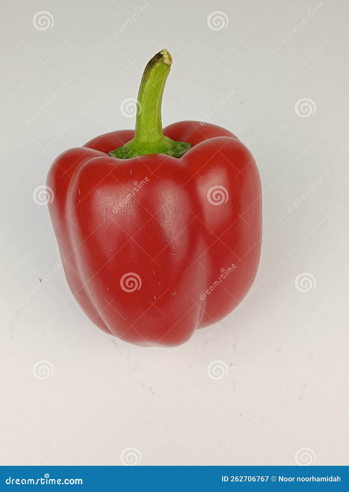 Fresh red capcicum stock image. Image of organ, orange - 262706767