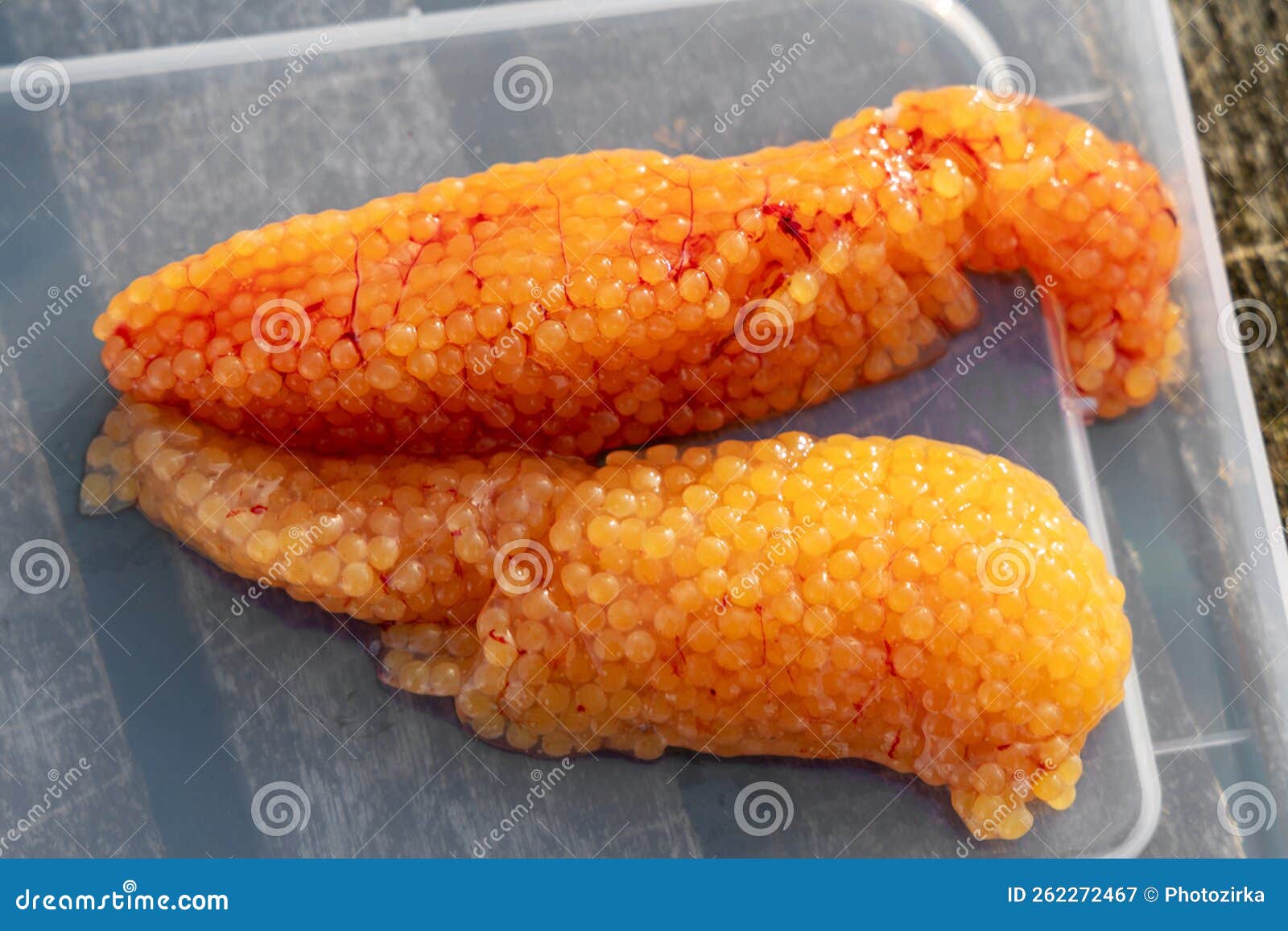 Fresh Red Caviar from Fish that Have Been Just Caught Stock Image ...