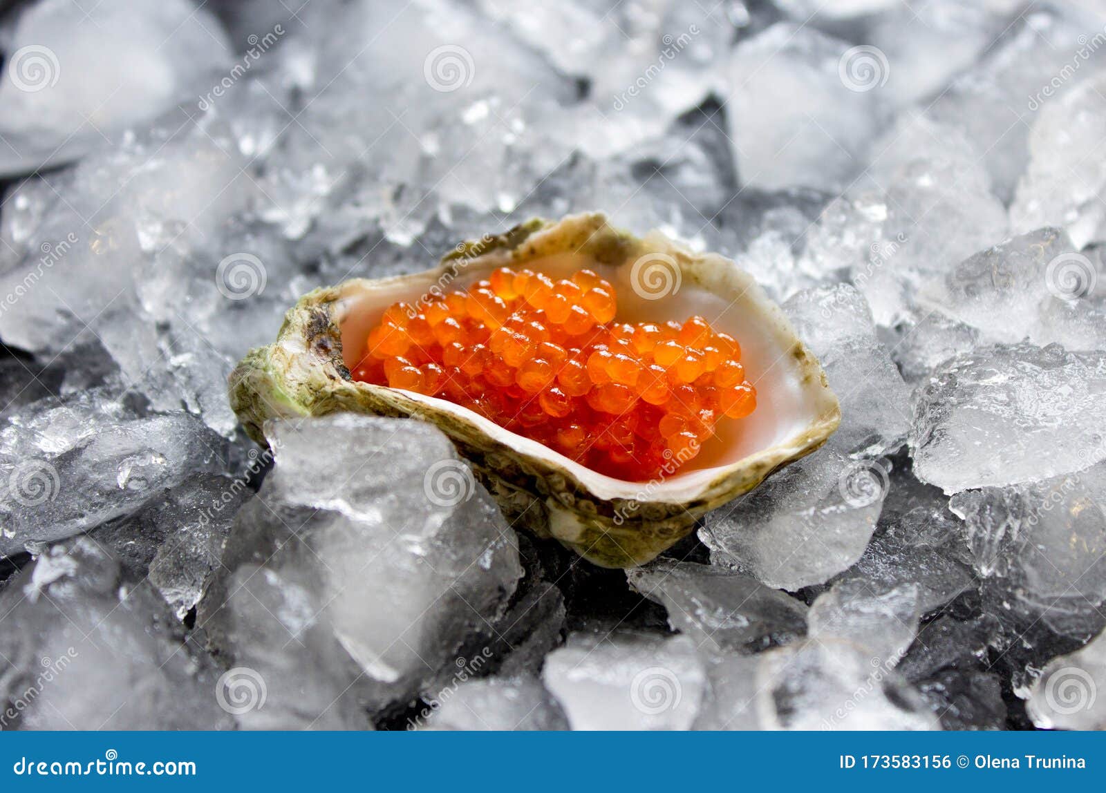 Fresh Red Caviar in Oyster Shell on Ice Stock Photo - Image of tasty ...