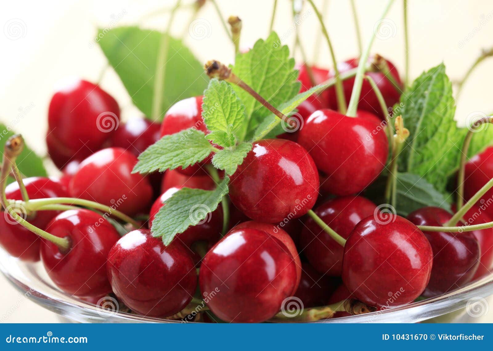 Fresh red cherries stock photo. Image of freshness, snack - 10431670