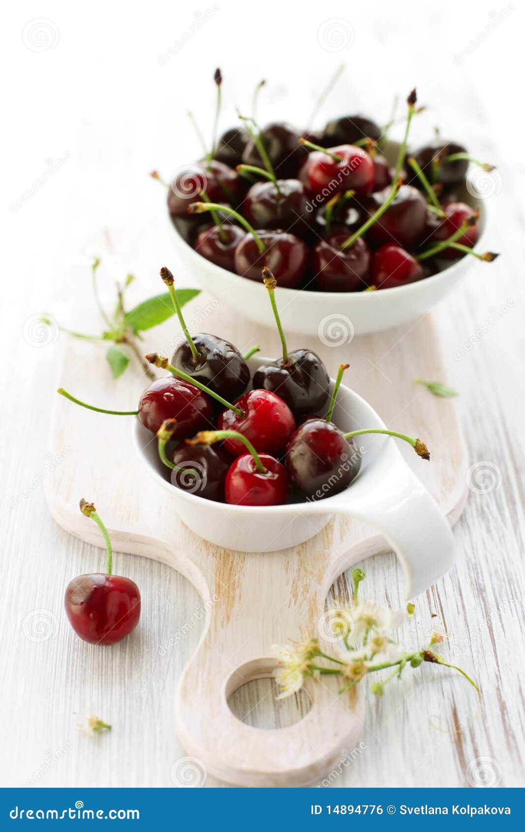 Fresh red cherry stock photo. Image of fruit, stalk, cherry - 14894776