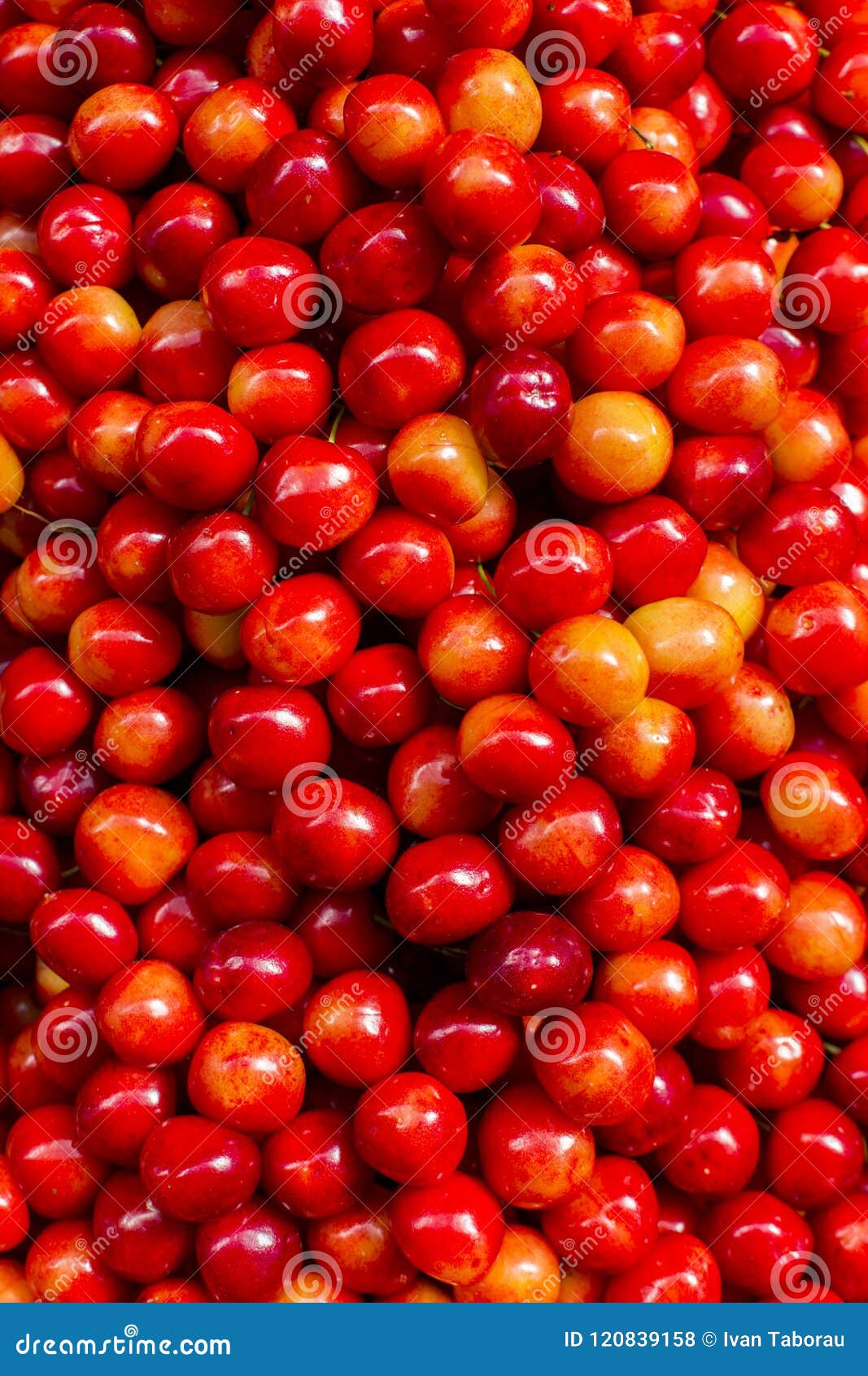Fresh Red Cherry Berry Abstract Fruit Colorful Pattern Texture ...