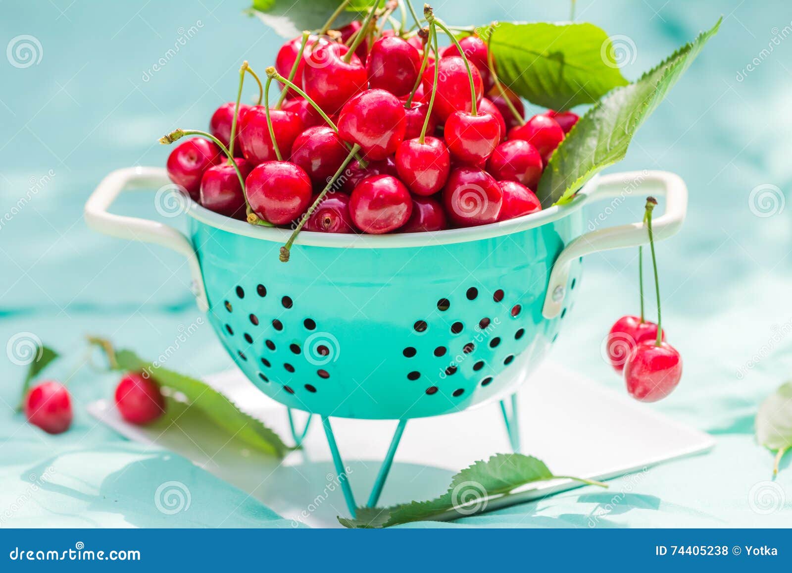 Fresh Red Cherry Fruit Green Colander Stock Photo - Image of garden ...
