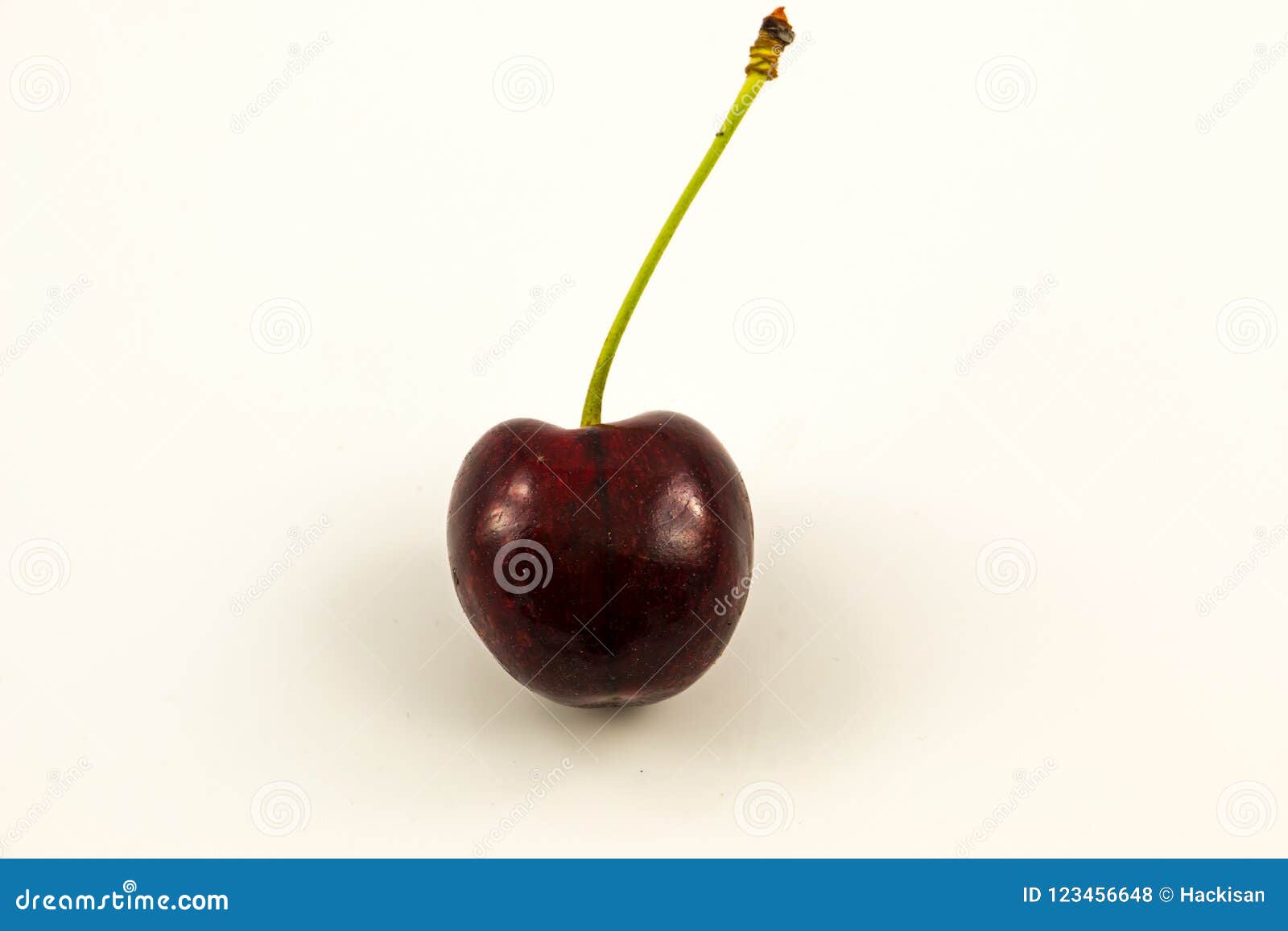Fresh Red Cherry from the Garden Stock Photo - Image of plant, healthy ...